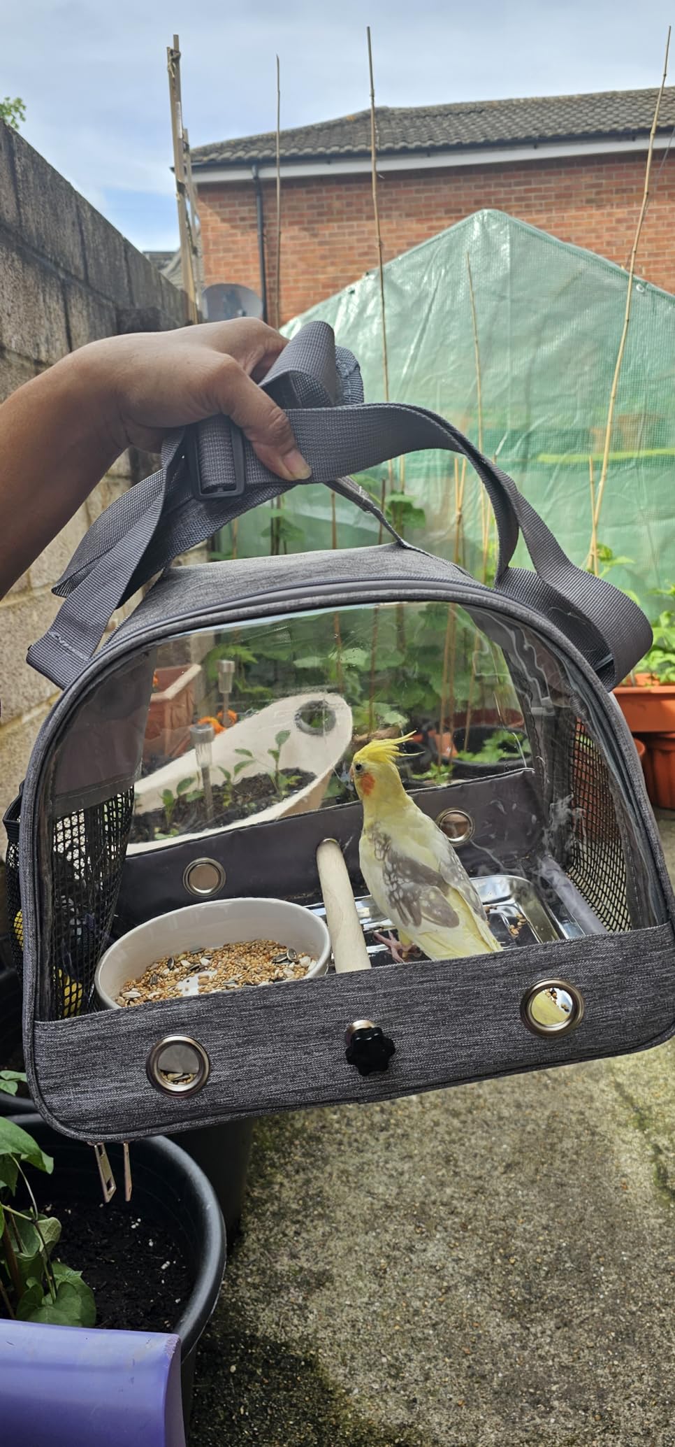 Gecheer Bird Carrier Bird Backpack Carrier Portable Folding Oxford ...