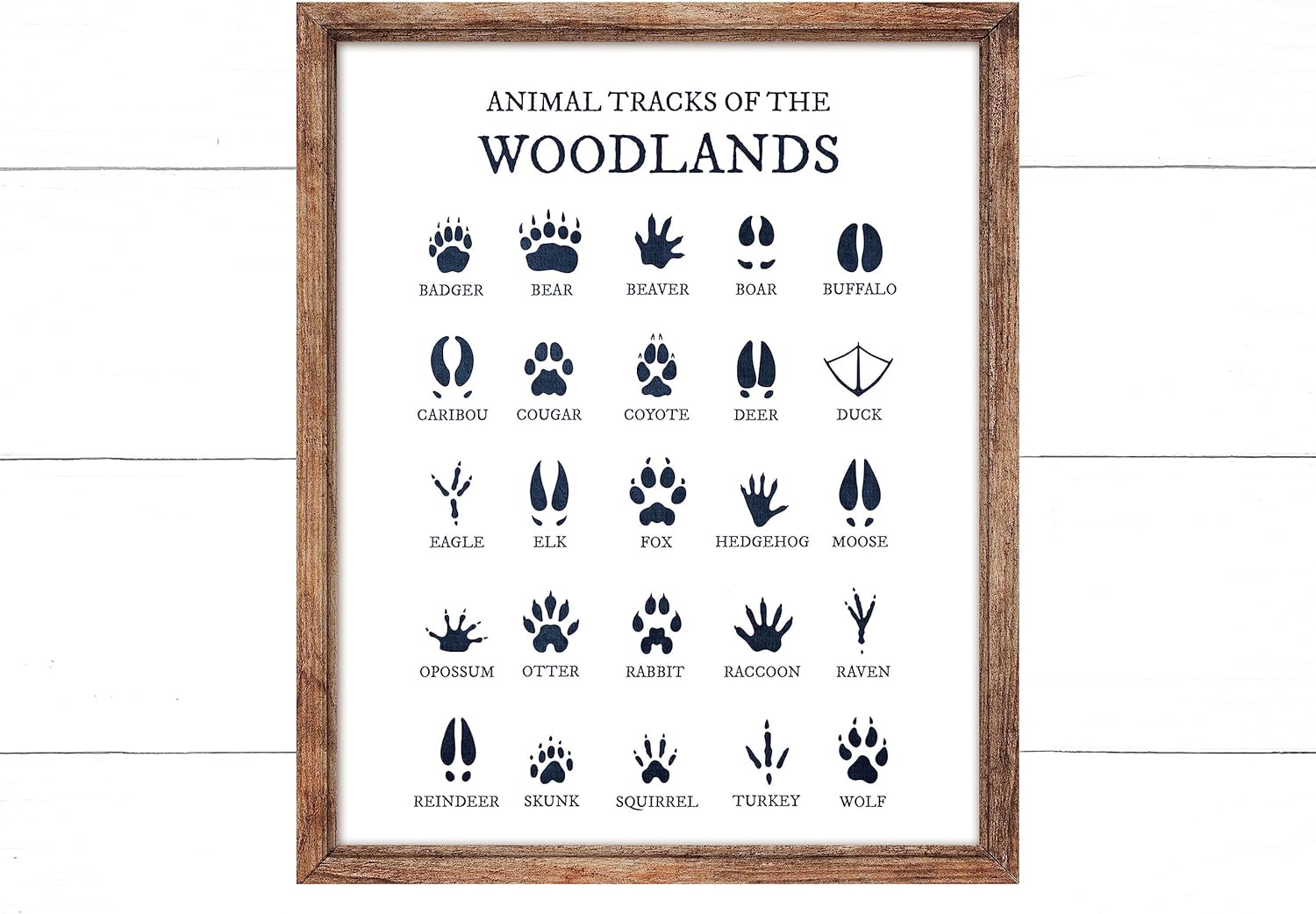 Amazon.com: Navy Animal Tracks Of The Woodlands, Boy Woodland Nursery ...