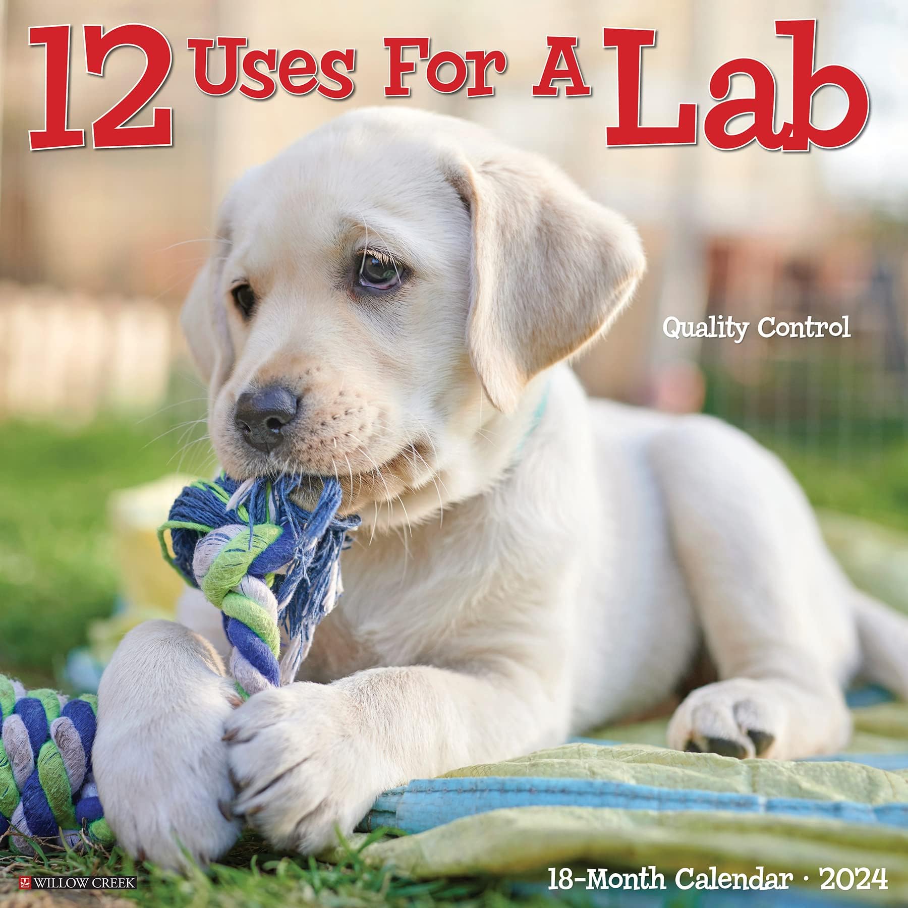 Amazon.com: Labrador Retriever Calendar 2024 Lab Monthly Wall Calender ...