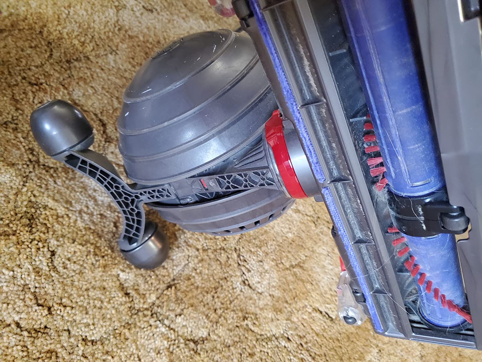 Amazon.com - Dyson Clip, Swivel Connector Dc41, Red