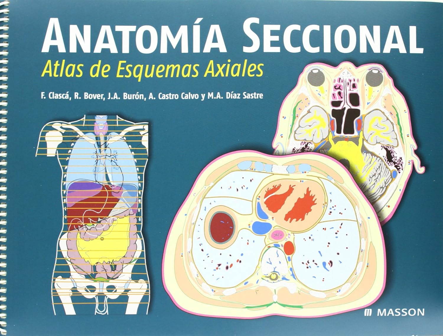 Anatomia seccional - atlas de esquemas axiales y guia de referencia ...