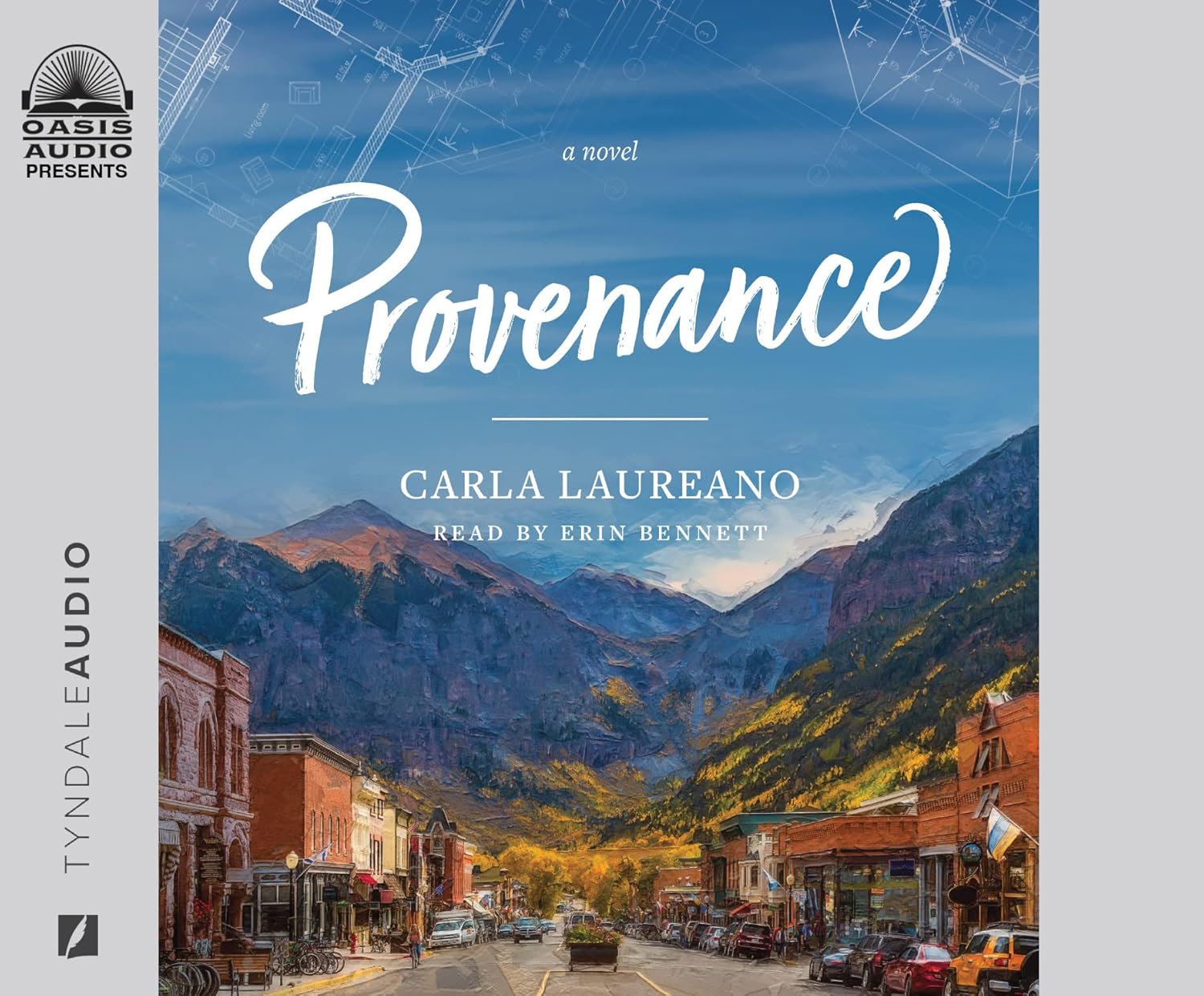 Provenance: Laureano, Carla, Bennett, Erin: 9781685921224: Amazon.com ...