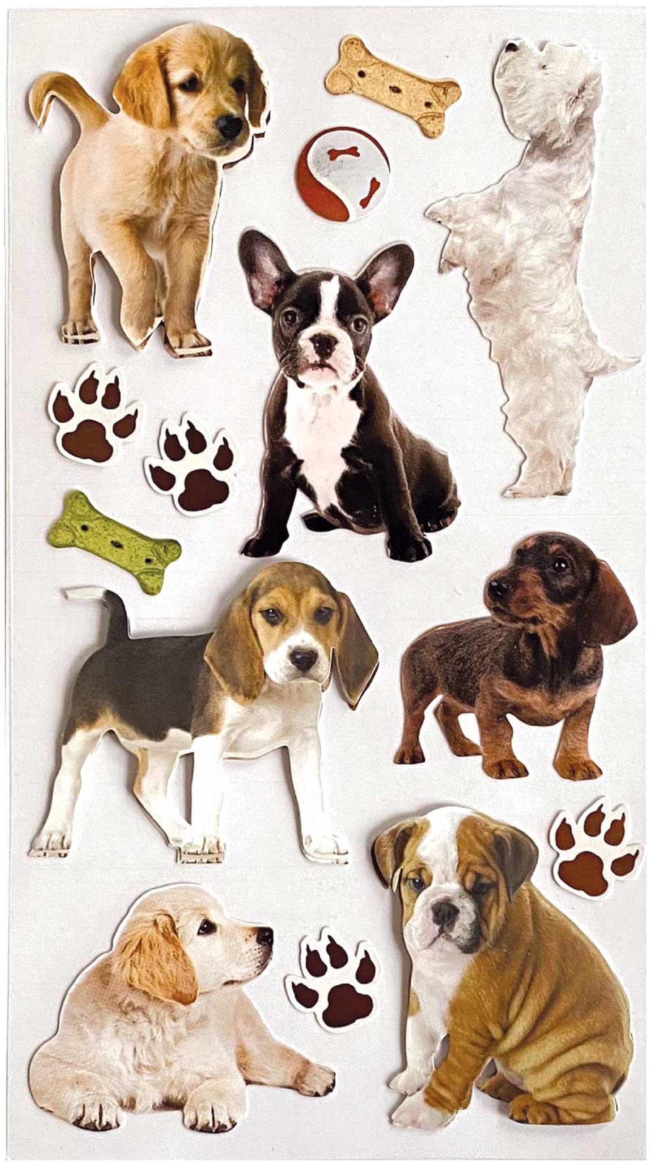 Amazon.com : Paper House Productions Die-Cut Dimensional & Foil Accent ...