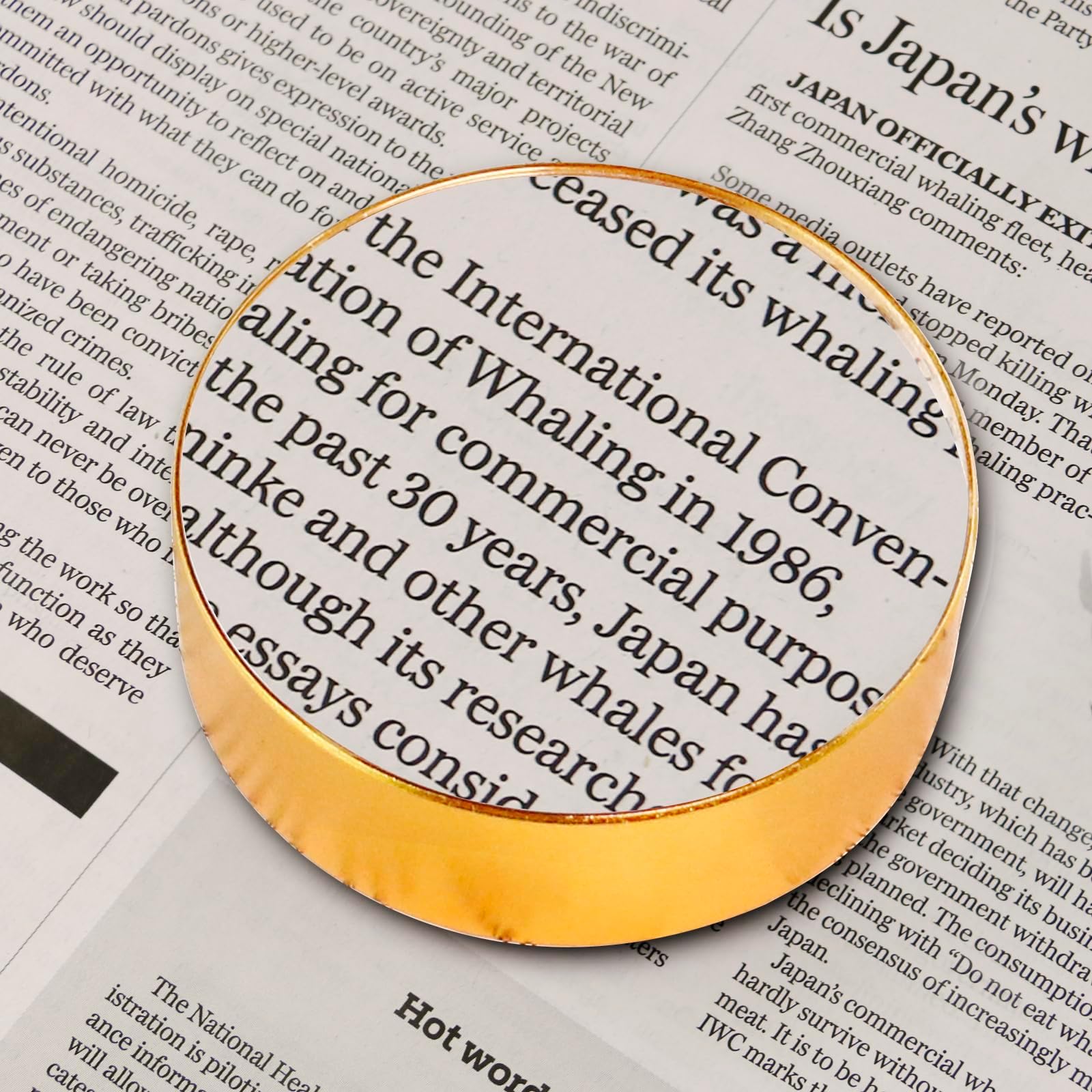 Amazon.com: 40X Crystal Dome Magnifying Glass Acrylic Optical Magnifier ...