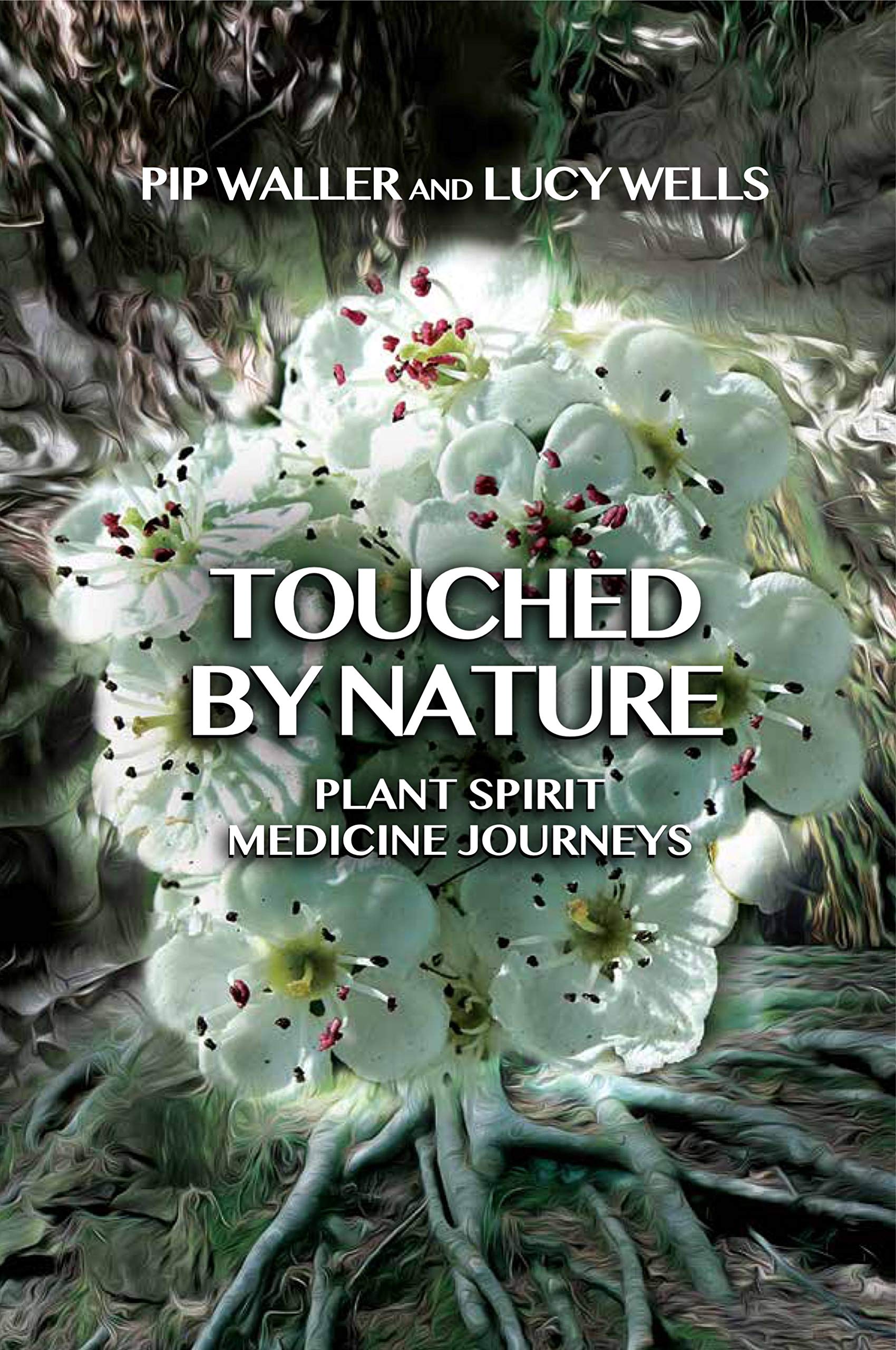 Touched by Nature: Plant Spirit Medicine Journeys: Waller, Pip, Wells ...