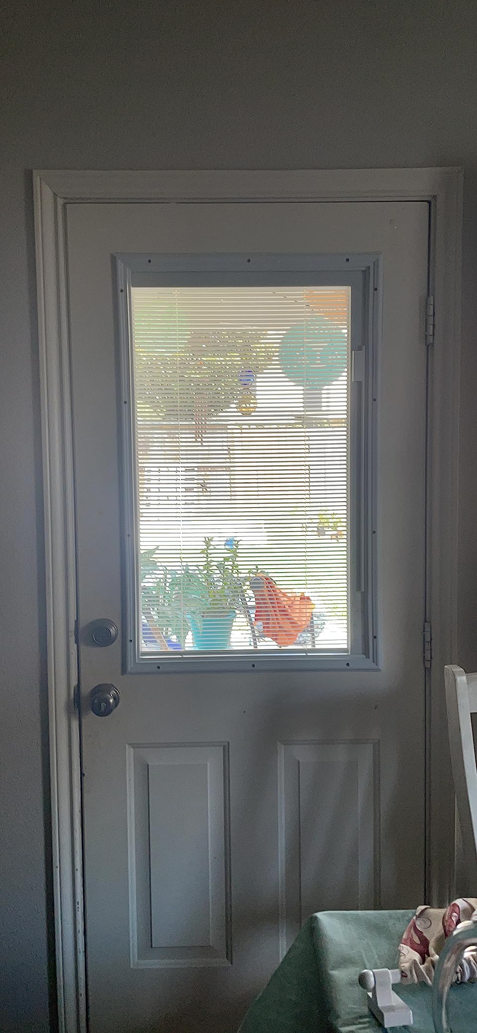 22 x 36 Entry Door Clear Glass Insert (Internal Blind) - Amazon.com