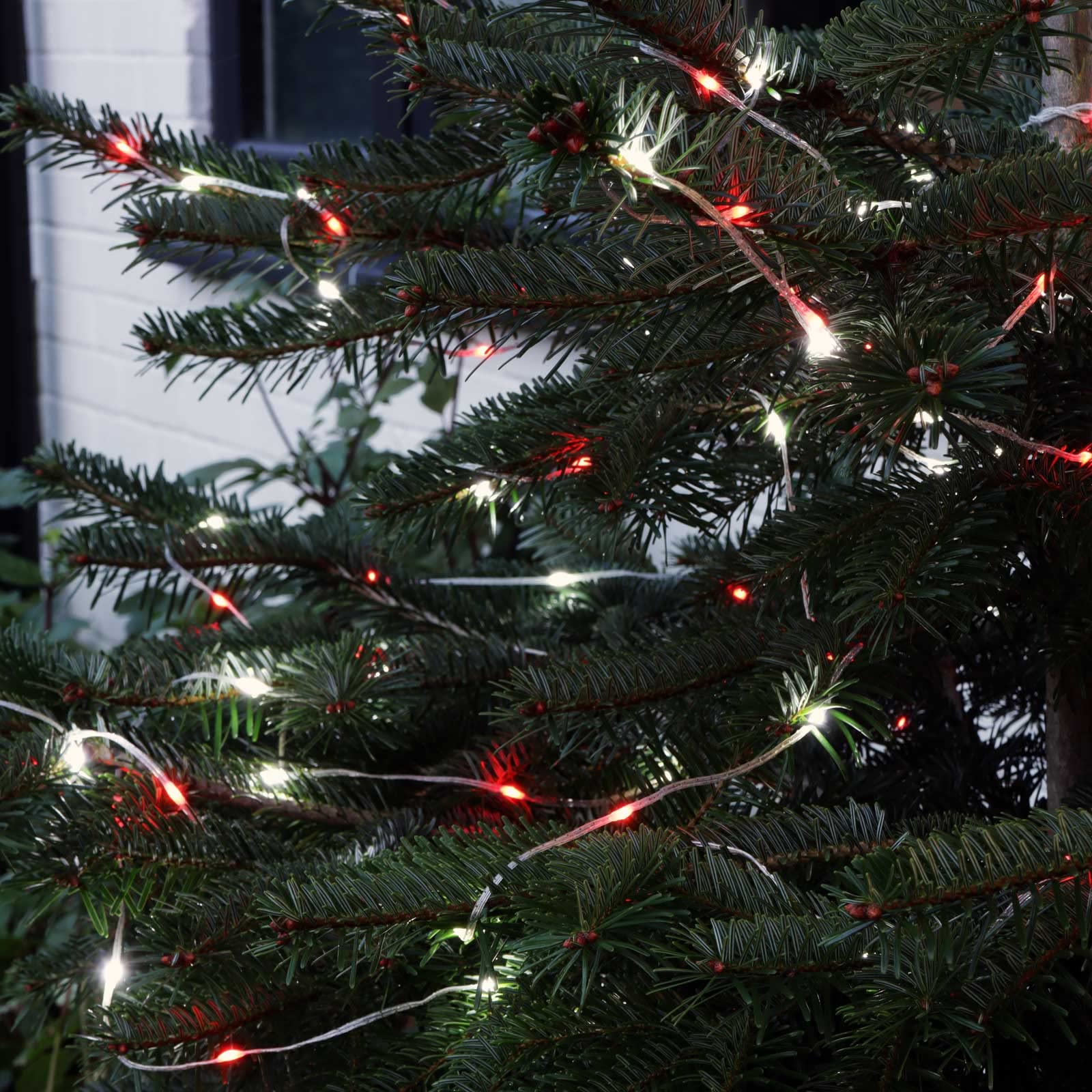 Red White Christmas Lights Wire White Christmas Lights 50 Red