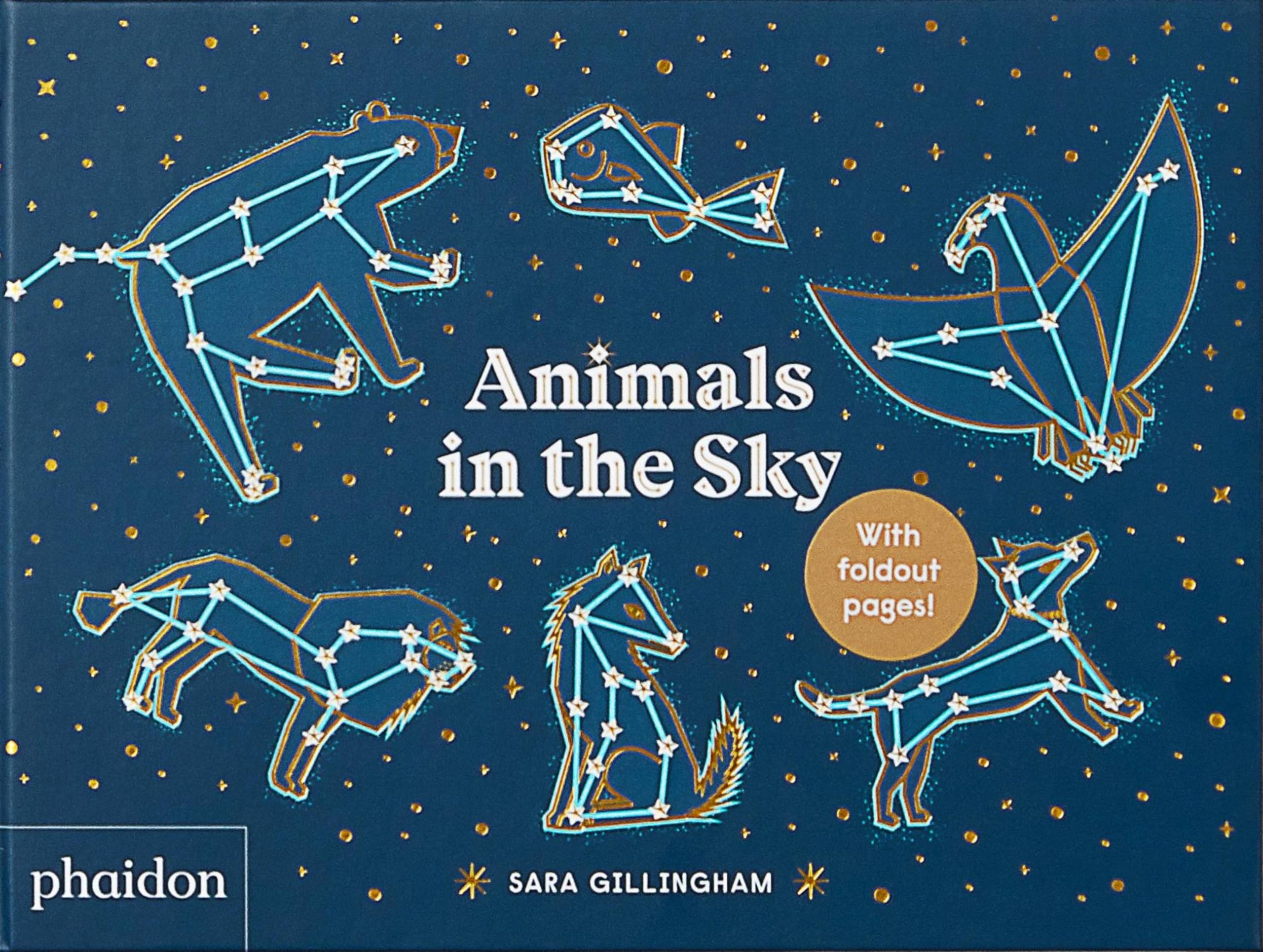 Animals in the Sky: Amazon.co.uk: Gillingham, Sara: 9781838660246: Books