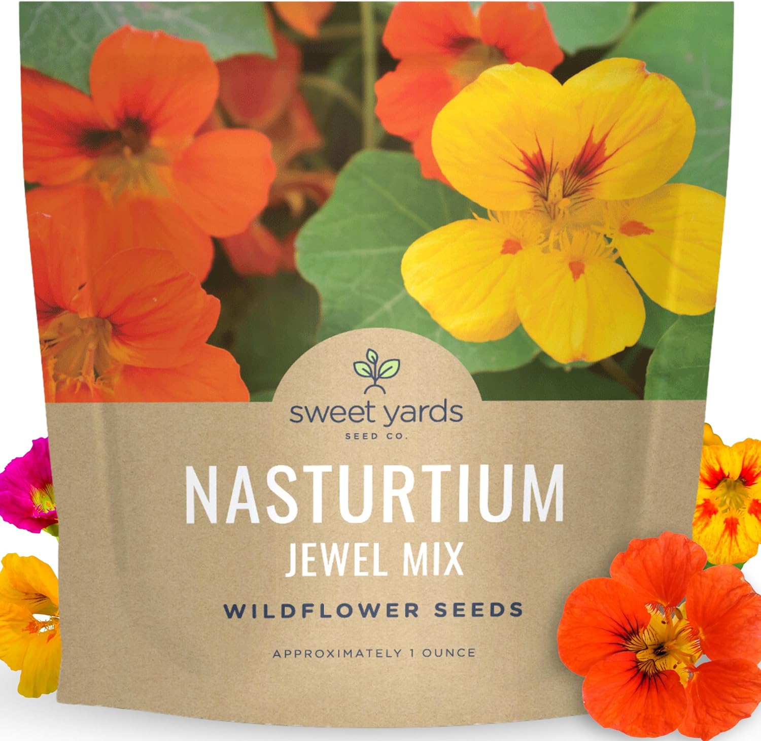 Amazon.com : Nasturtium Jewel Mix - Large 1 Ounce Packet - 200 Flower ...