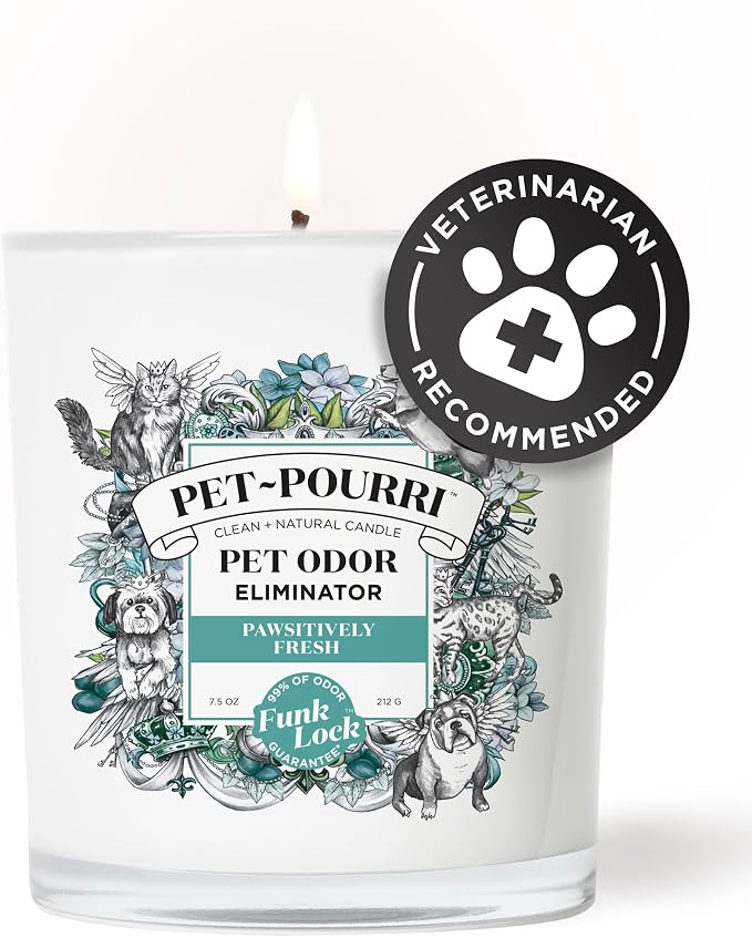 Amazon.com: Pet-Pourri Pawsitively Fresh Pet Odor Deodorizer Candle ...