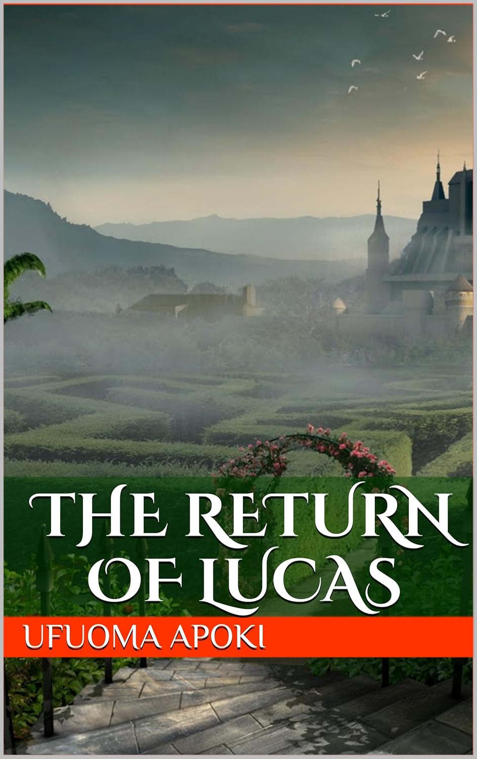 Amazon.com: The Return of Lucas eBook : Apoki, Ufuoma, M, Dr. Afam ...