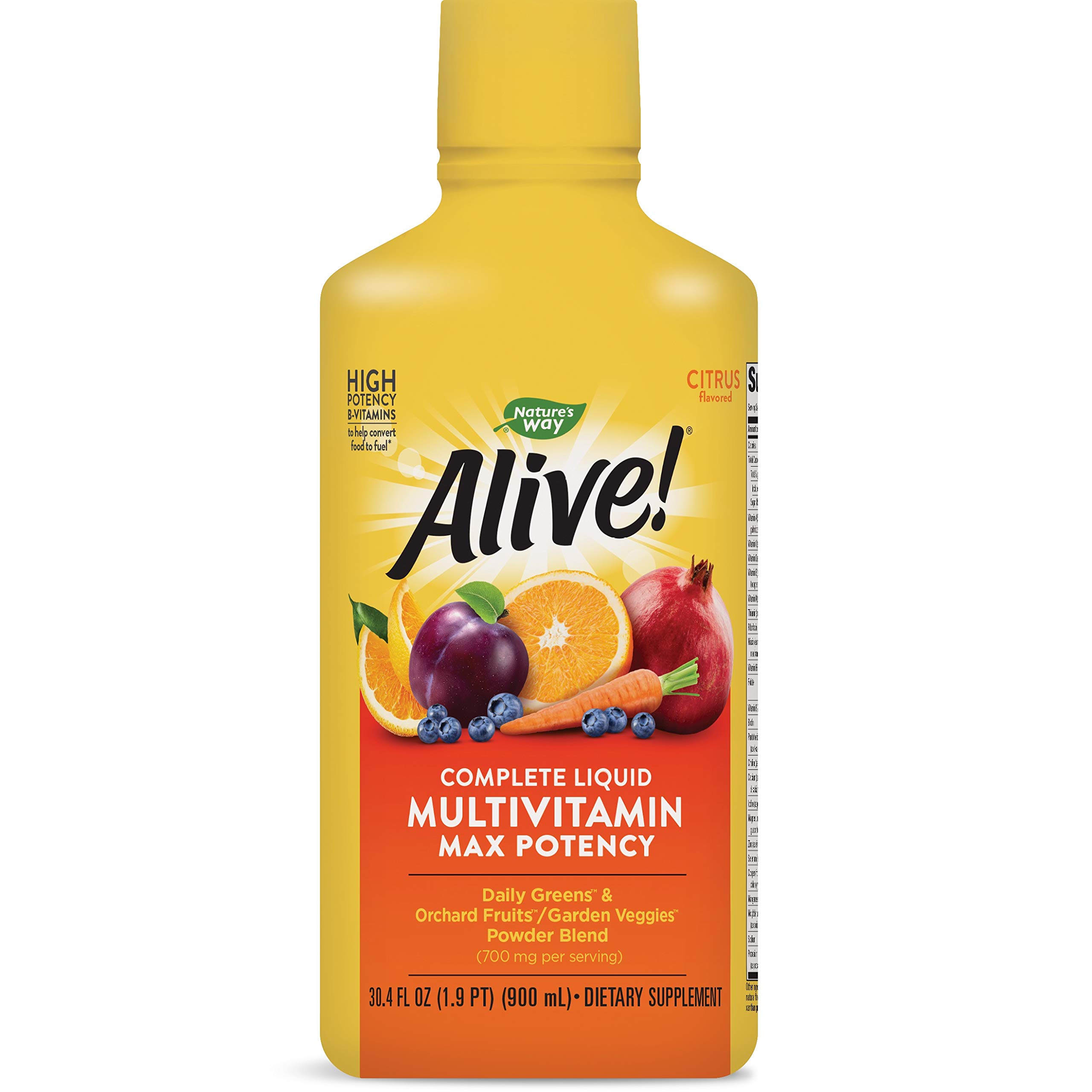 Nature's Way Alive! Max Potency Liquid Multivitamin, Antioxidants, Food ...