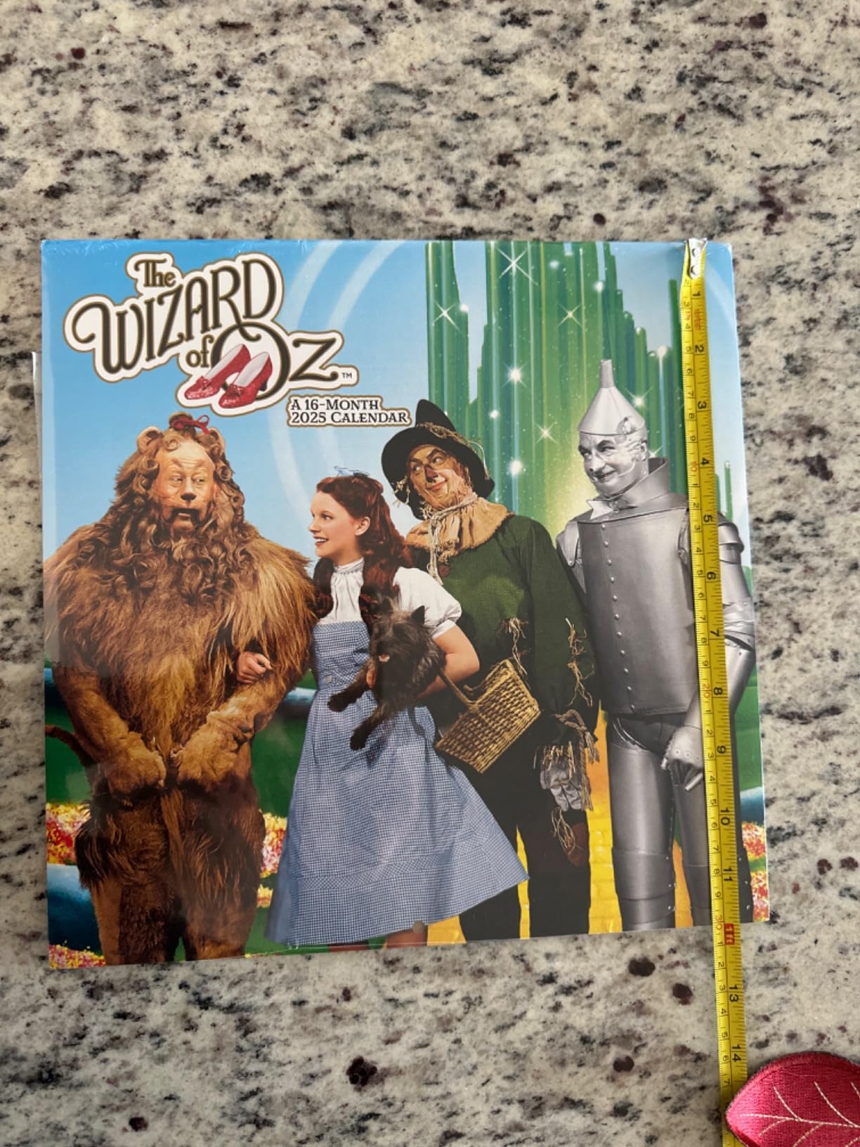 Amazon.com: The Wizard of Oz Calendar 2025 - Deluxe 2025 The Wizard of ...