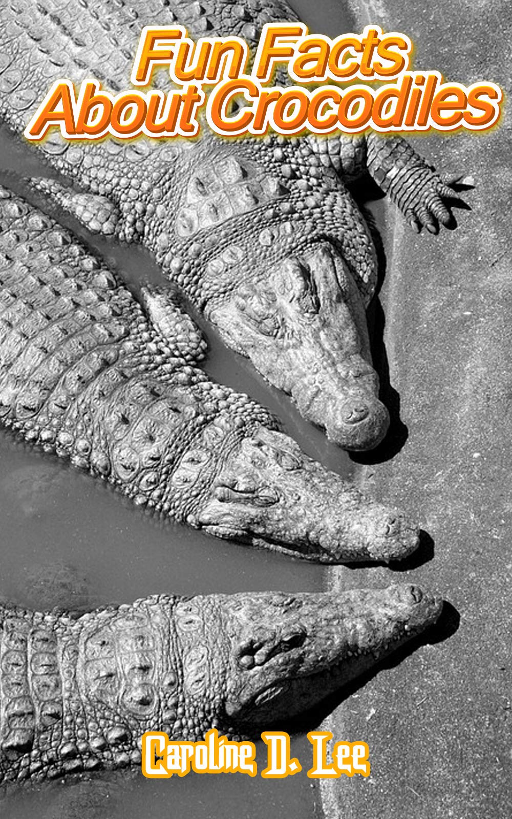 Buy Fun Facts About Crocodiles: Crocodiles Fun Facts and Amazing Photos of Animals interesting ...