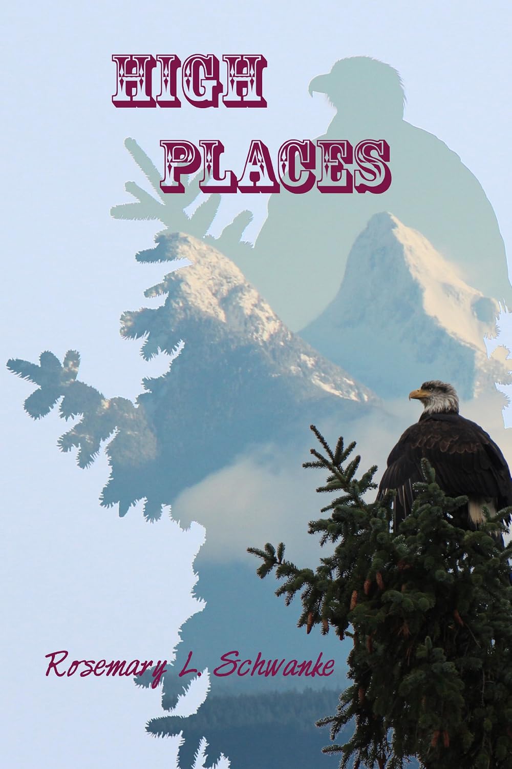High Places: A Parable - Kindle edition by Schwanke, Rosemary L ...