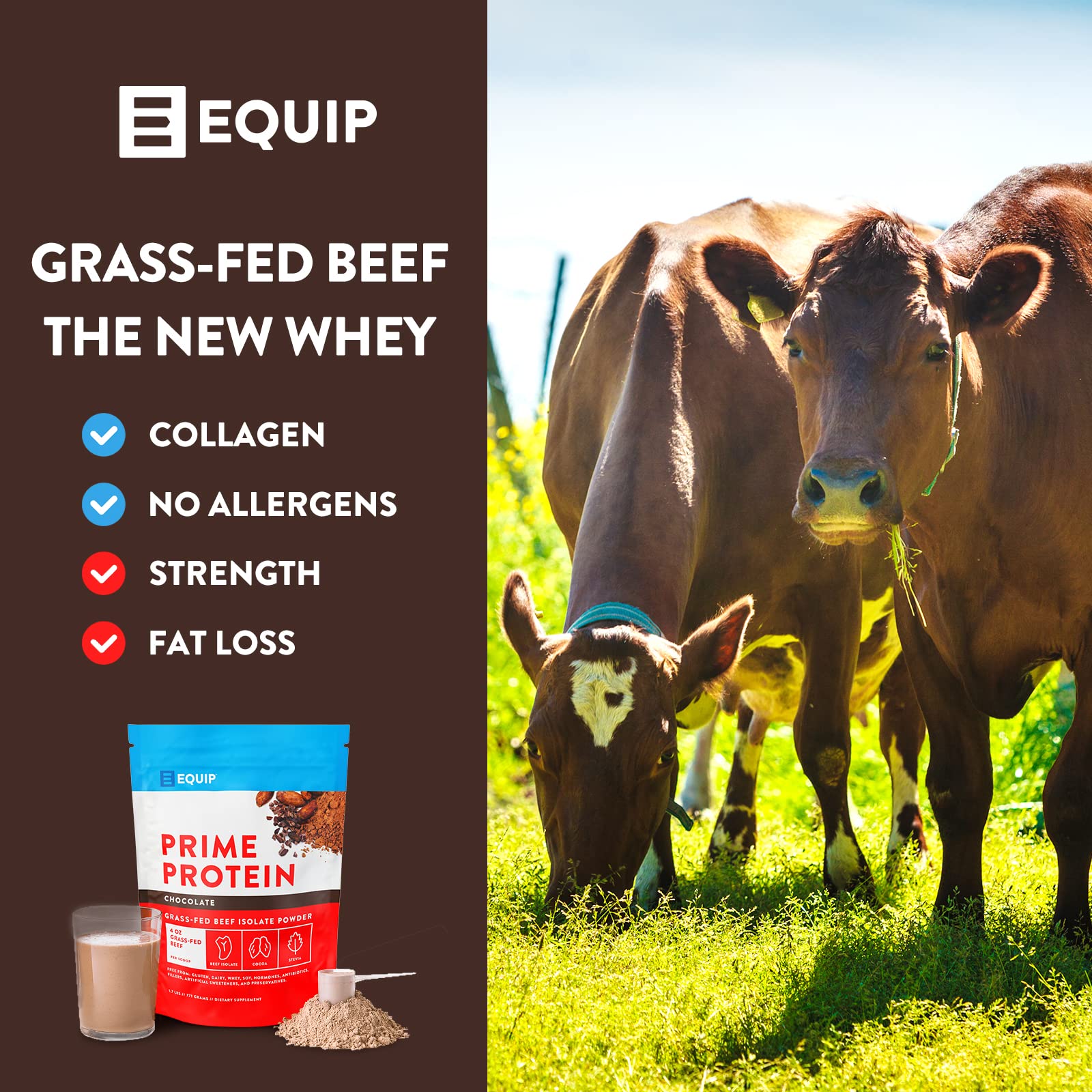 Snapklik.com : Equip Foods Protein - Grass Fed Beef Protein Powder ...