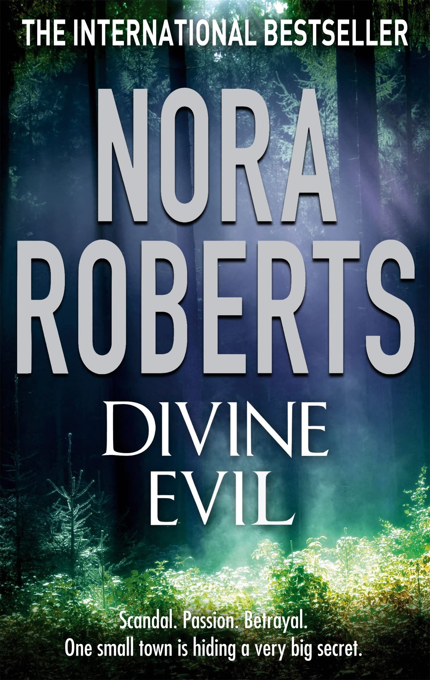 Divine Evil: Amazon.co.uk: Roberts, Nora: 9780749941567: Books