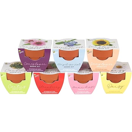 Amazon.com : BUZZY Terracotta Mini Grow Pots | Mini Assorted 12-Pack ...