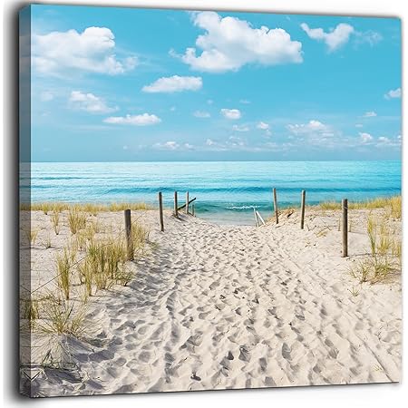 Amazon.com: Hardy Gallery Beach Seashell Starfish Wall Art: Blue Ocean ...