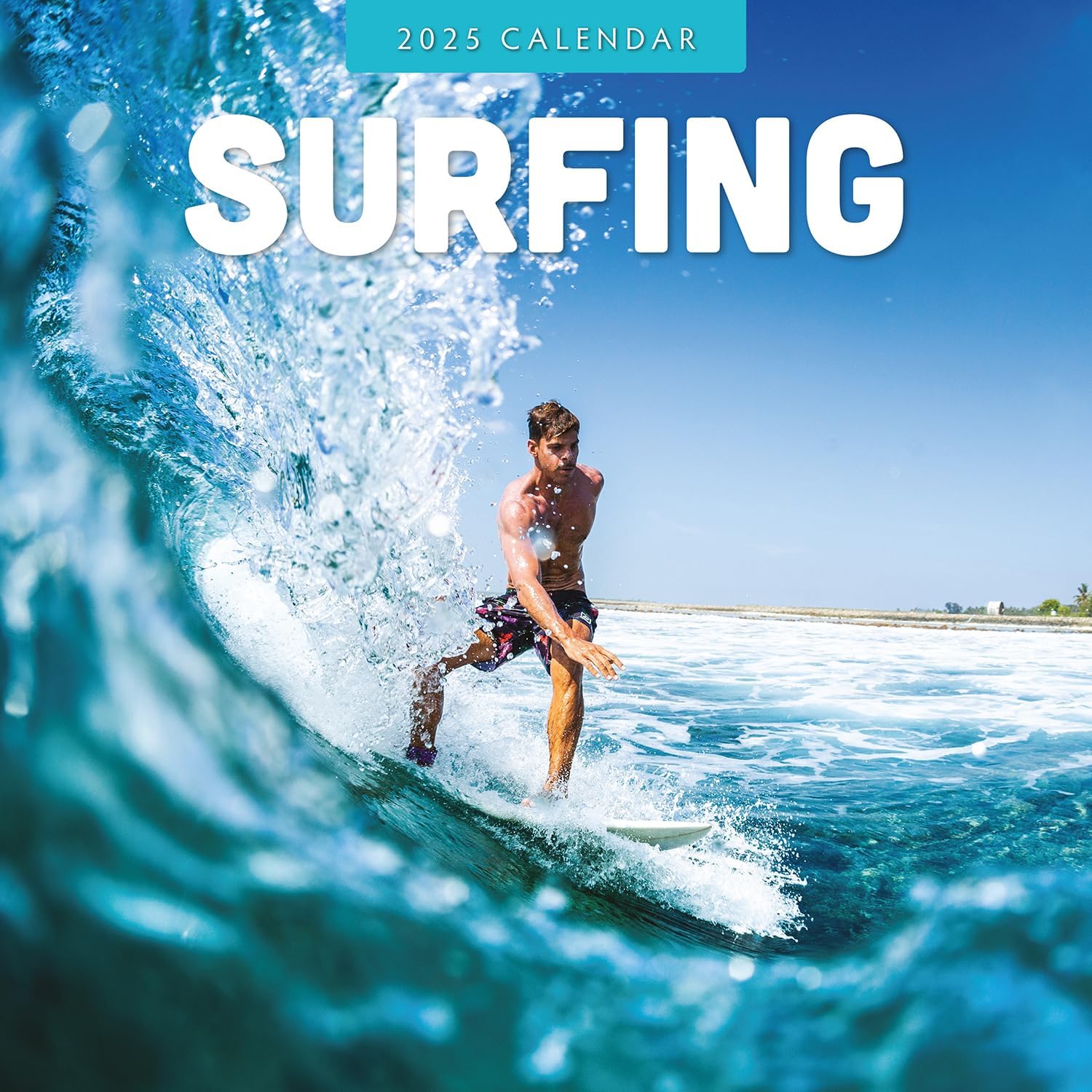 Amazon.com: Red Robin 2025 Surfing Monthly Wall Calendar | 12" x 24 ...