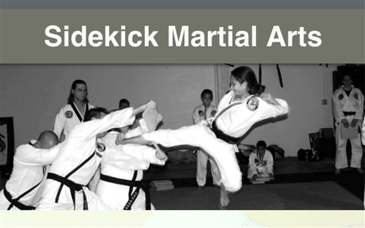 Sidekick Martial Arts:Amazon.com:Appstore for Android
