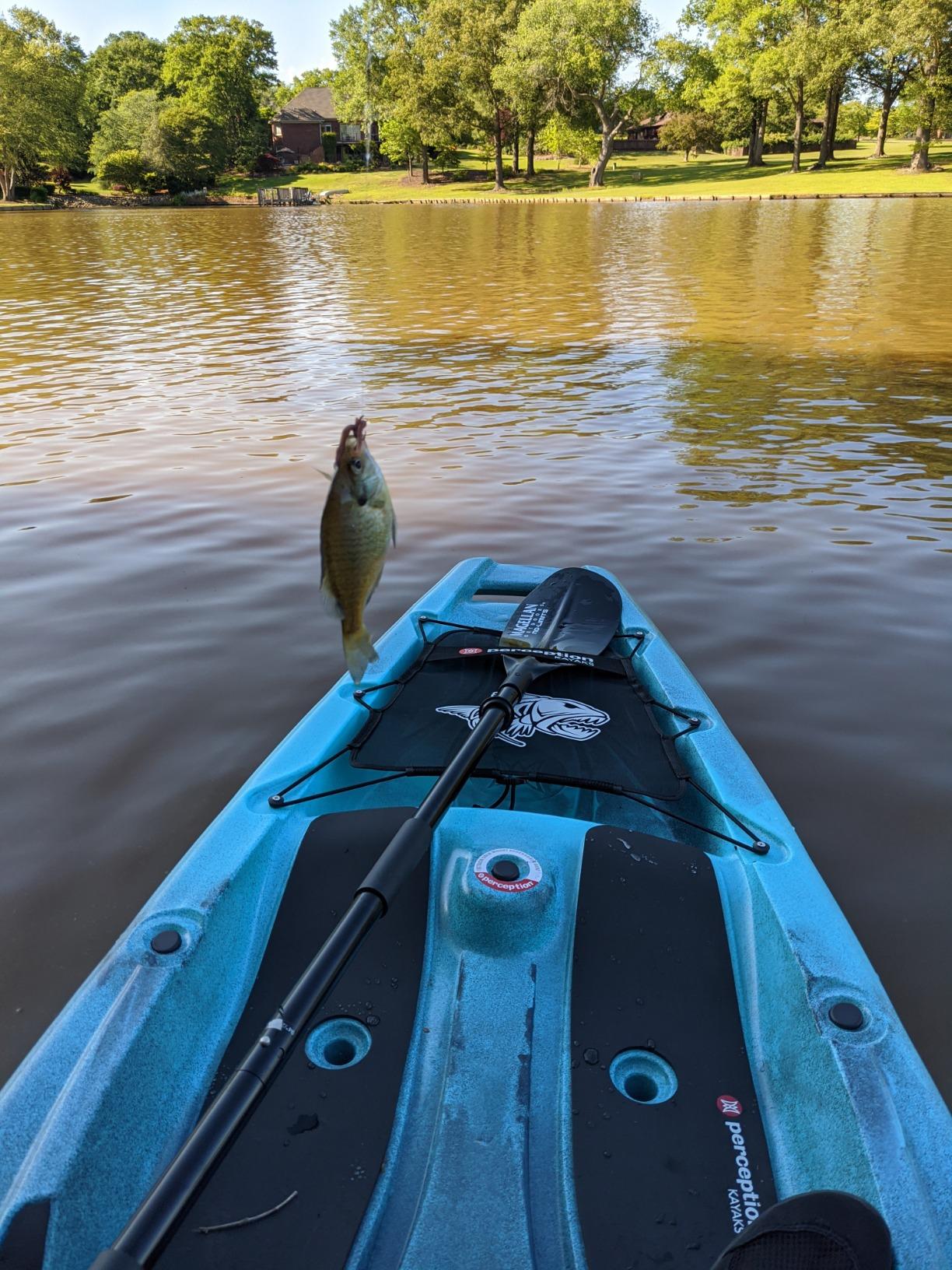 $30/mo - Finance Perception Kayaks Outlaw 11.5 | Sit on Top Fishing ...