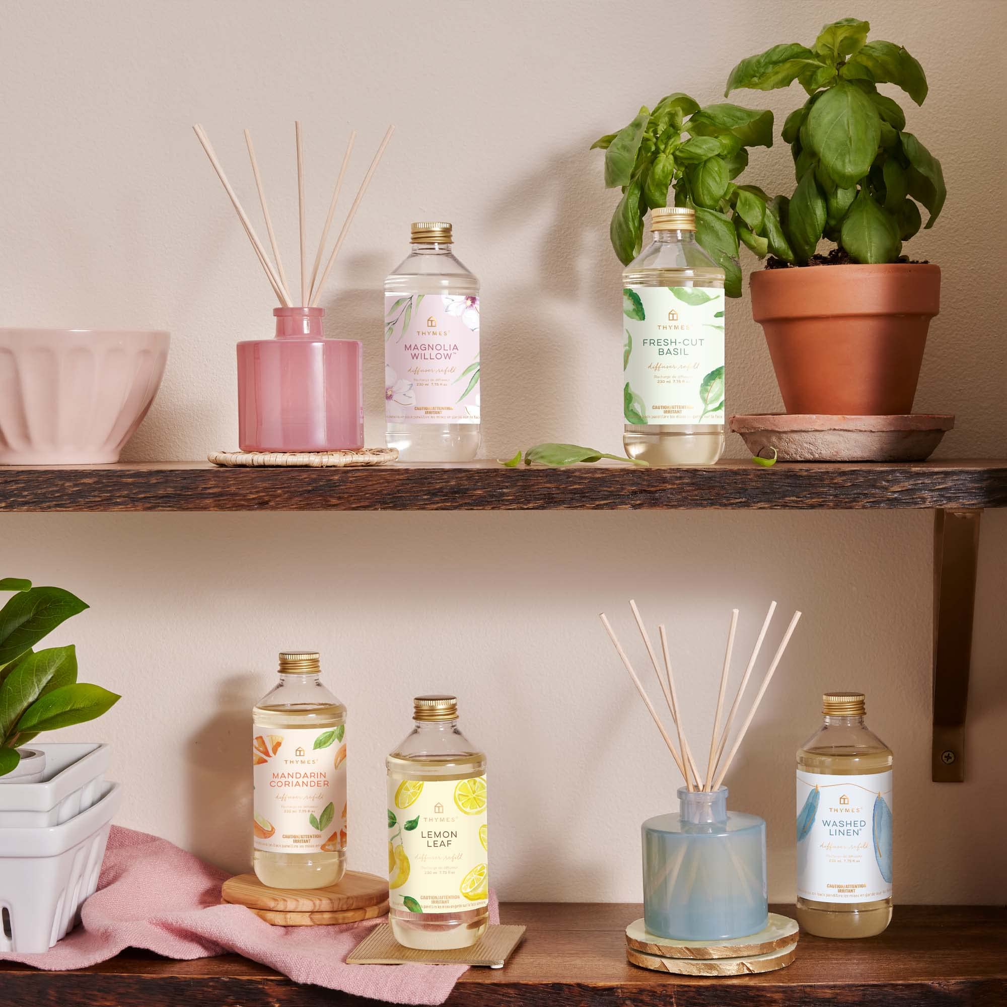 Snapklik.com : Thymes Mandarin Coriander Reed Diffuser Oil