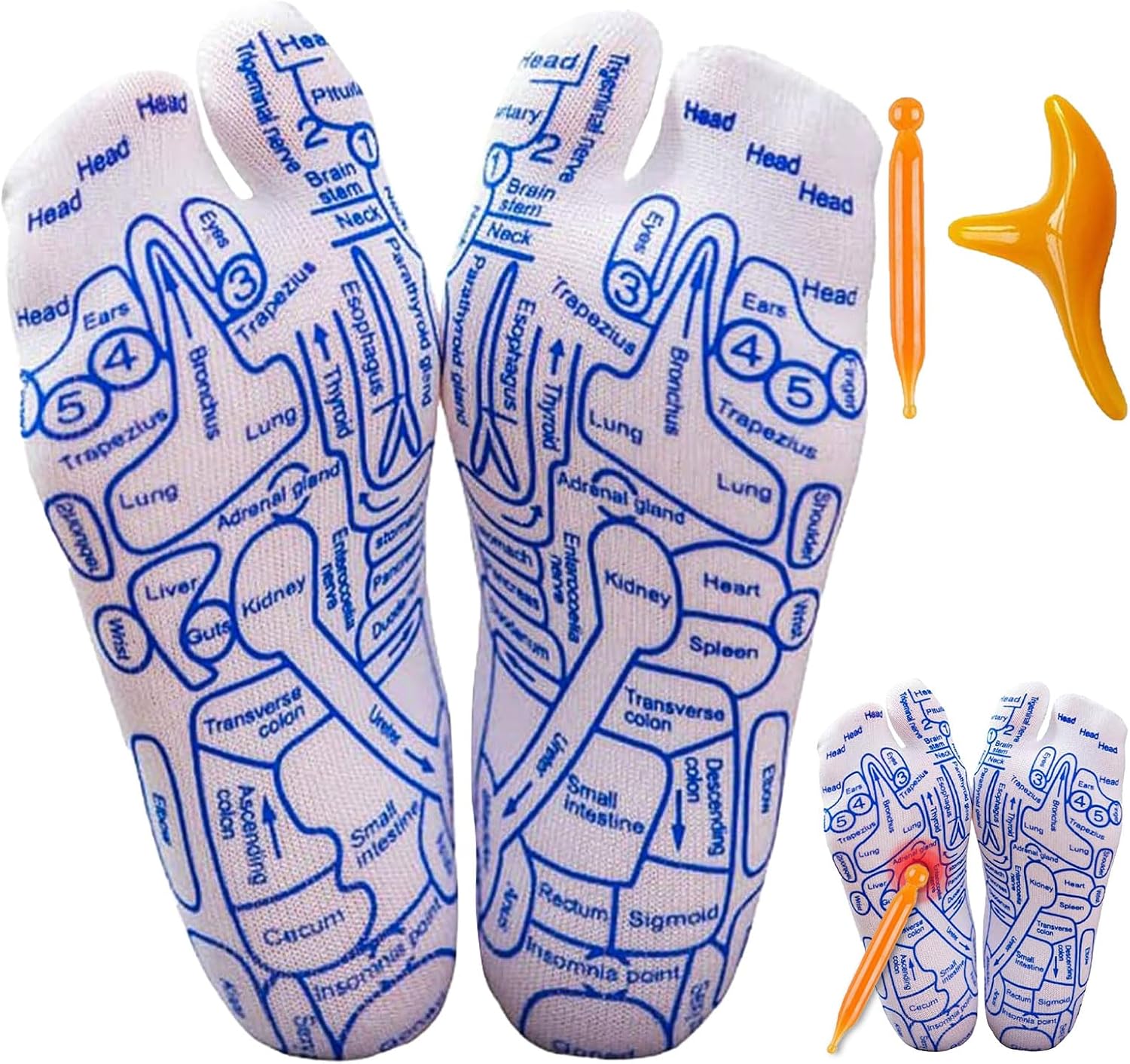 Amazon.com: Reflexology Socks with Tools, Acupressure Massage Socks ...