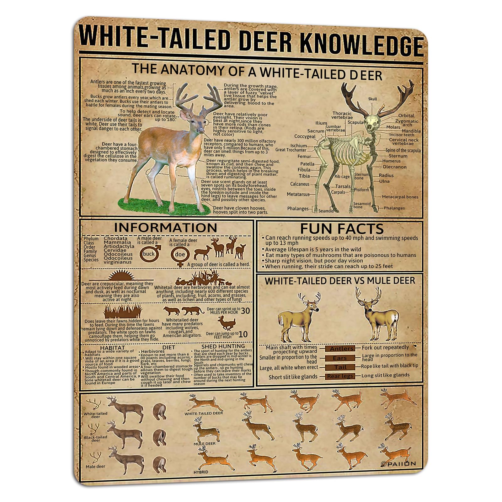 Amazon.com : PAIION Metal Tin Signs White-Tailed Deer Knowledge Hunting ...