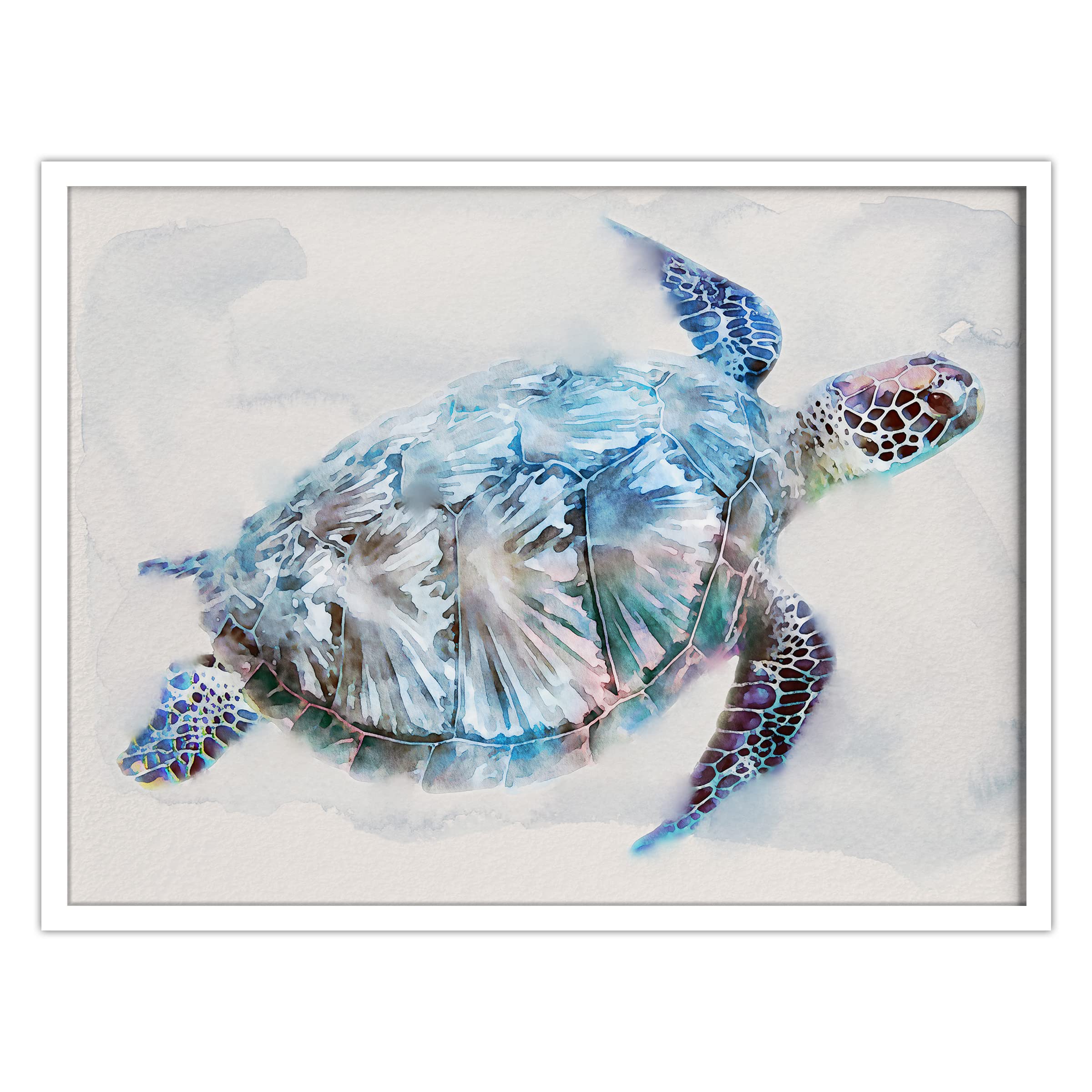 Green Sea Turtle Shell Drawing