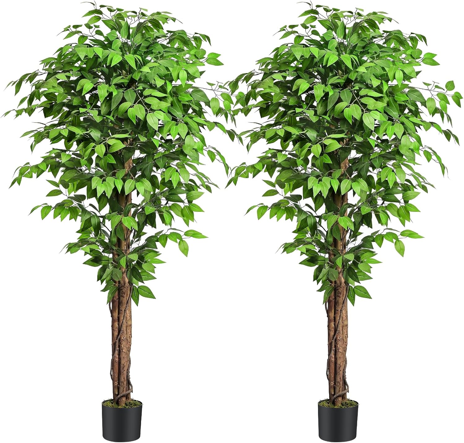 Amazon.com: Keeplush 6.2ft Ficus Artificial Trees with 3 Natural Curved ...