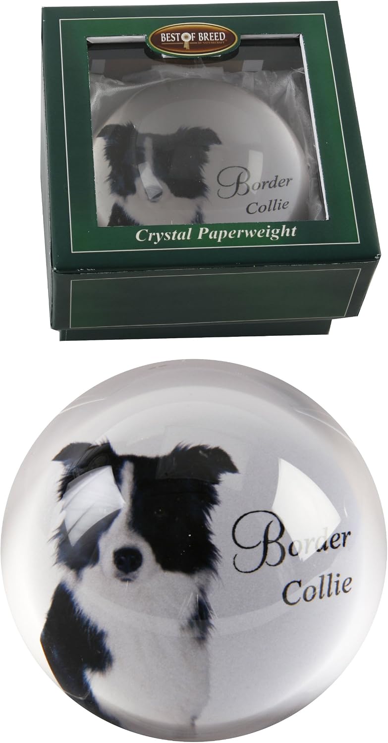 Border Collie Crystal Domed Paperweight in Gift Box : Amazon.co.uk ...