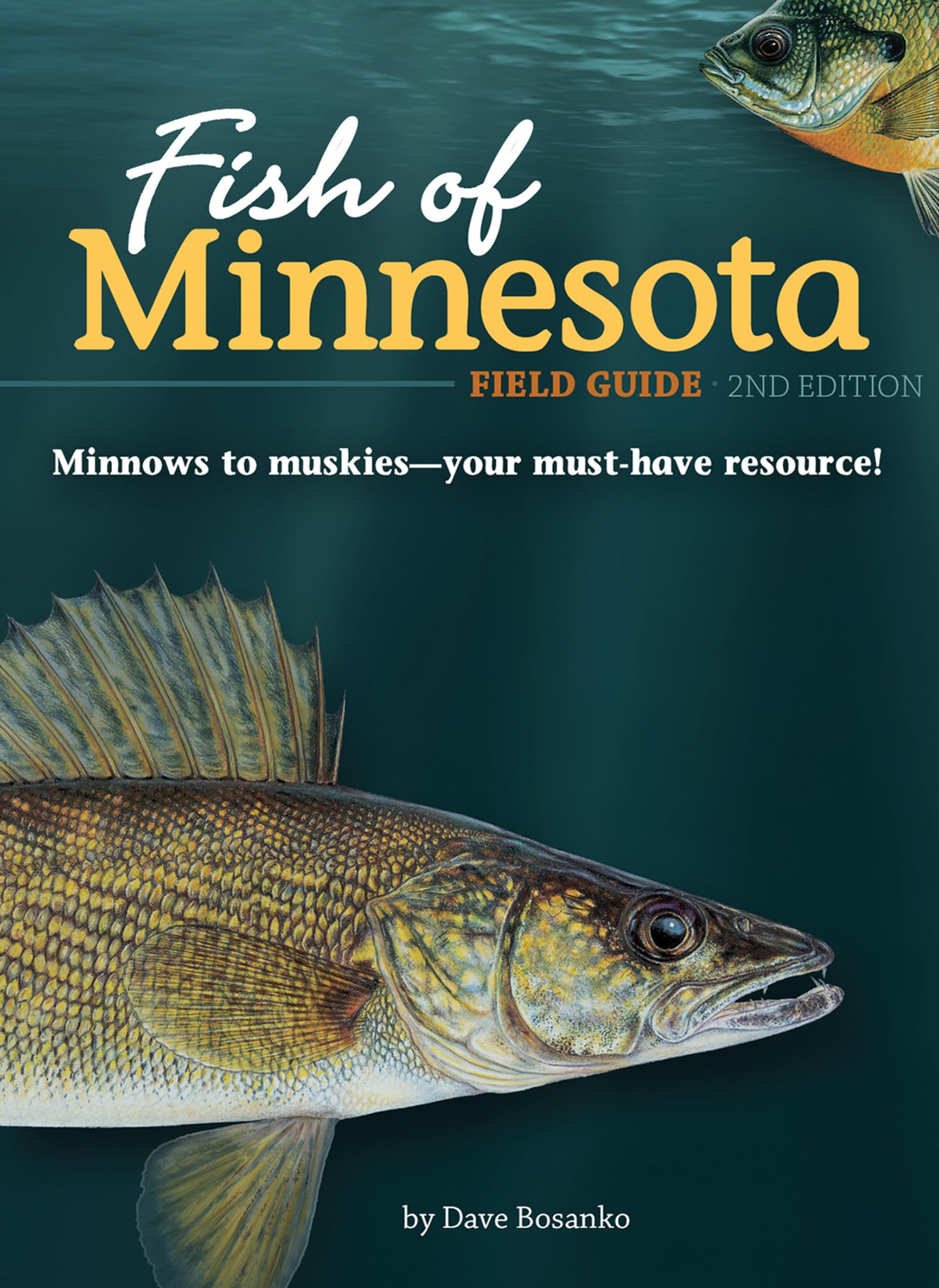 Fish of Minnesota Field Guide (Fish Identification Guides): Bosanko ...
