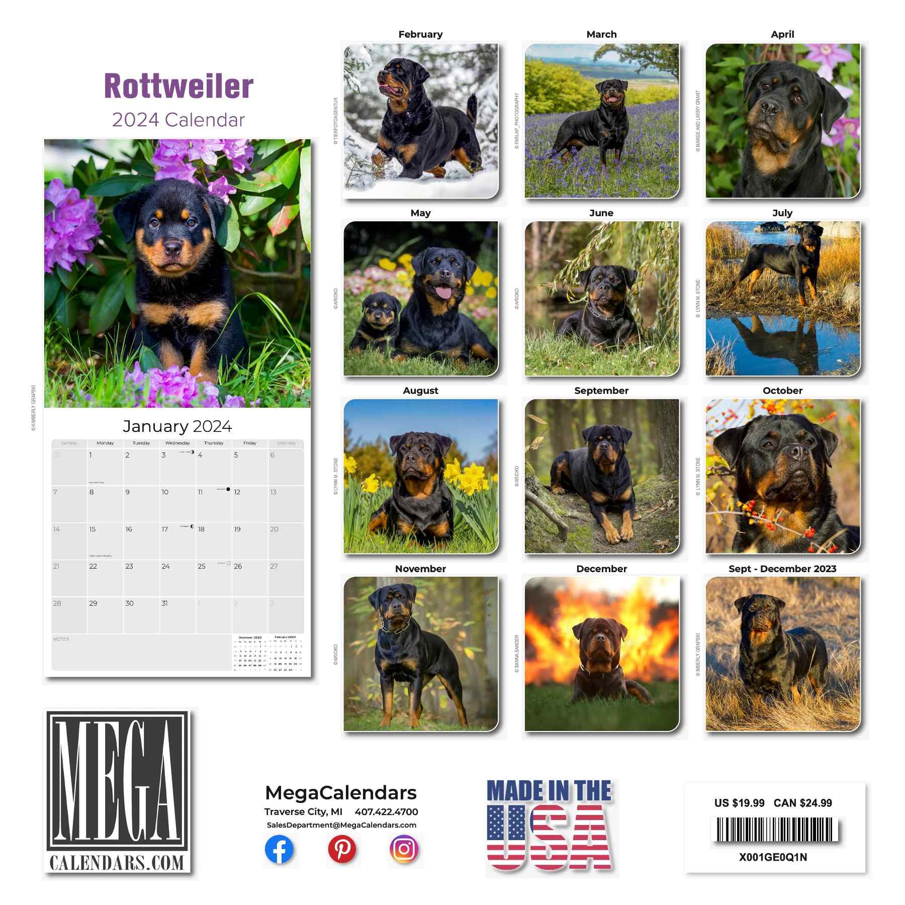 Snapklik.com : 2023 2024 Rottweiler Calendar - Dog Breed Monthly Wall ...