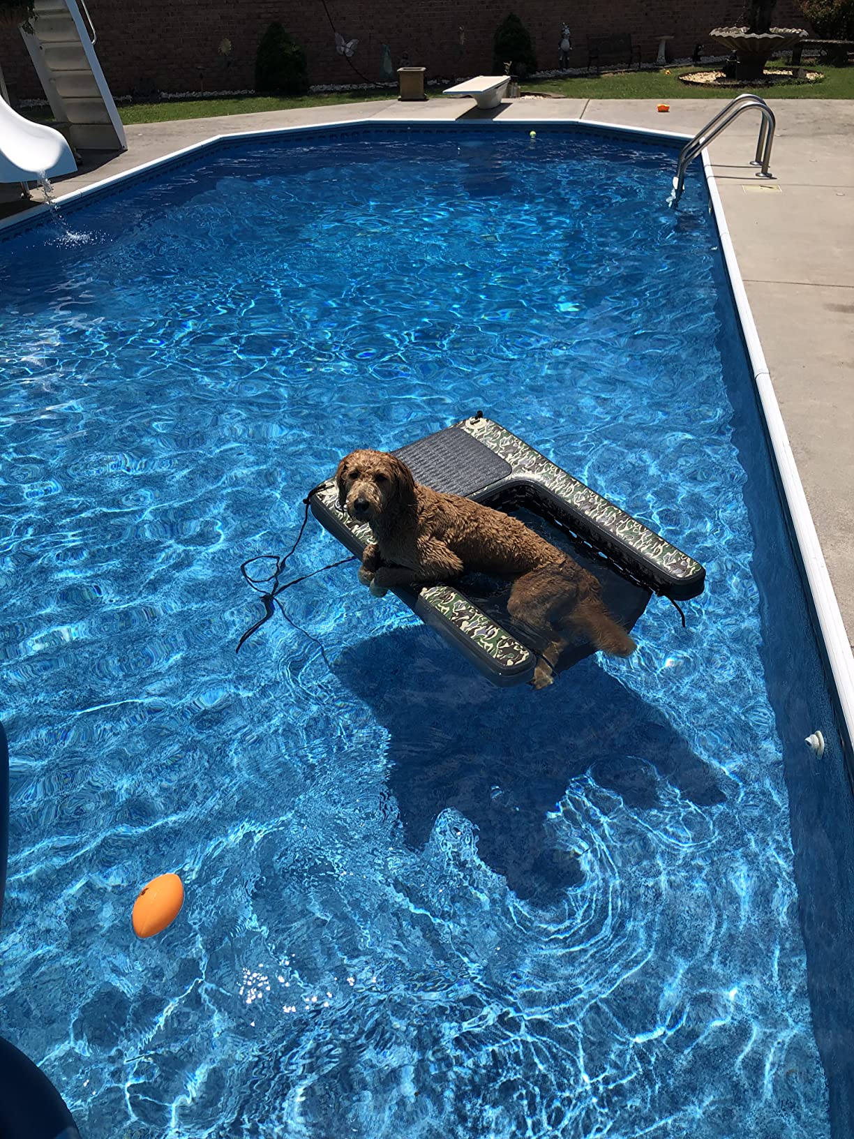 $38/mo - Finance SOLSTICE ORIGINAL Inflatable Pup Plank Dog Float ...