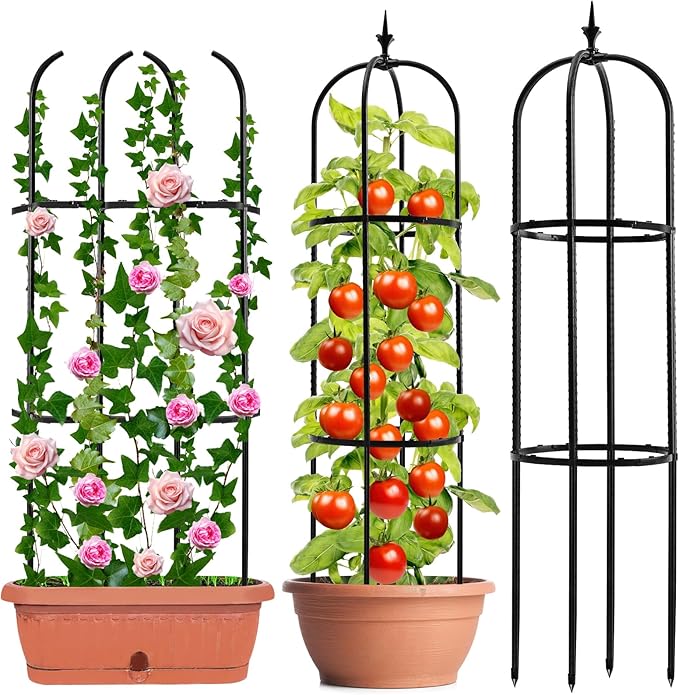 Amazon.com : Garden Obelisk Trellis for Climbing Plants Outdoor, Tomato ...