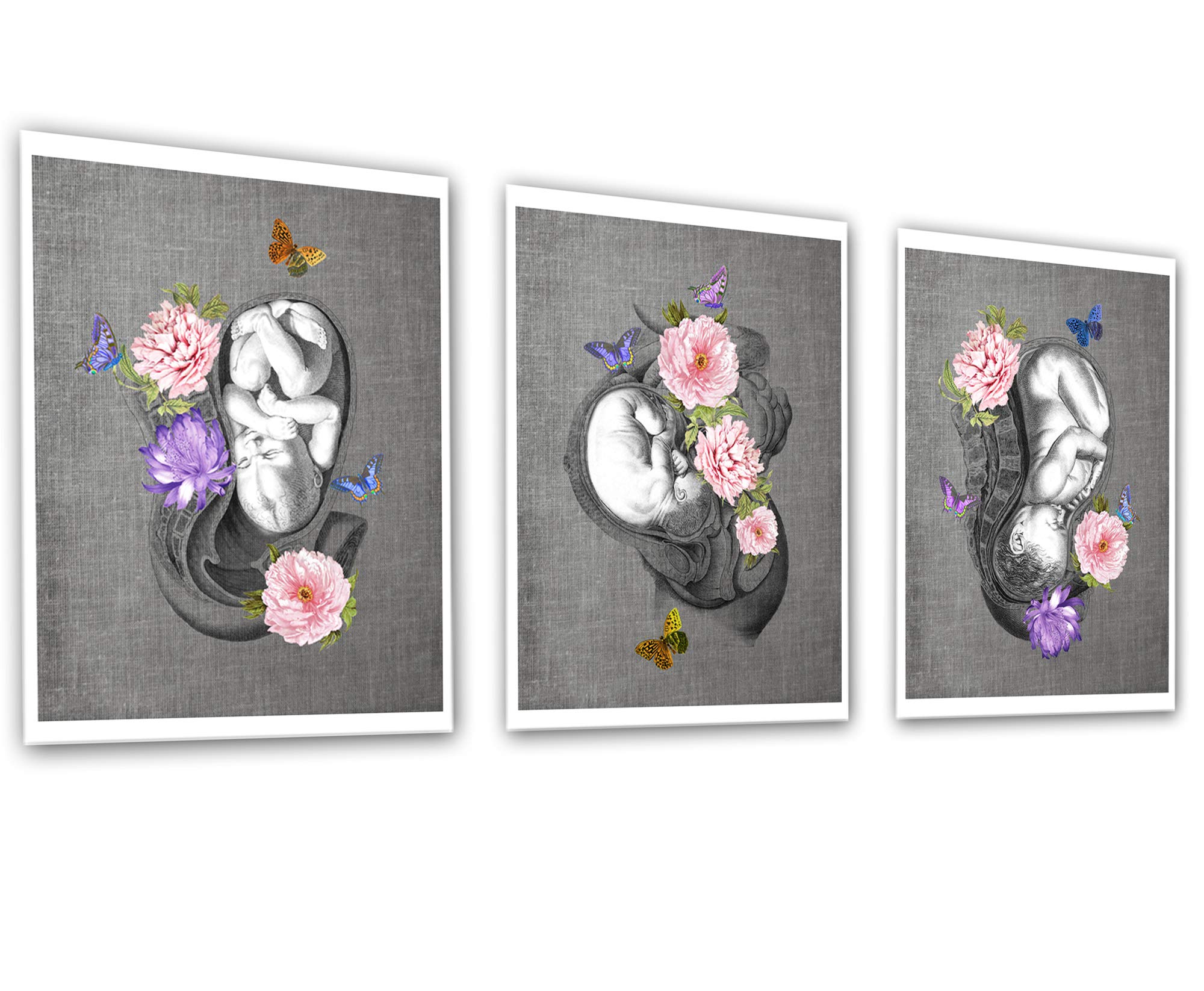 Amazon.com: Gnosis Picture Archive OBGYN Obstetrics Anatomy Floral Wall ...