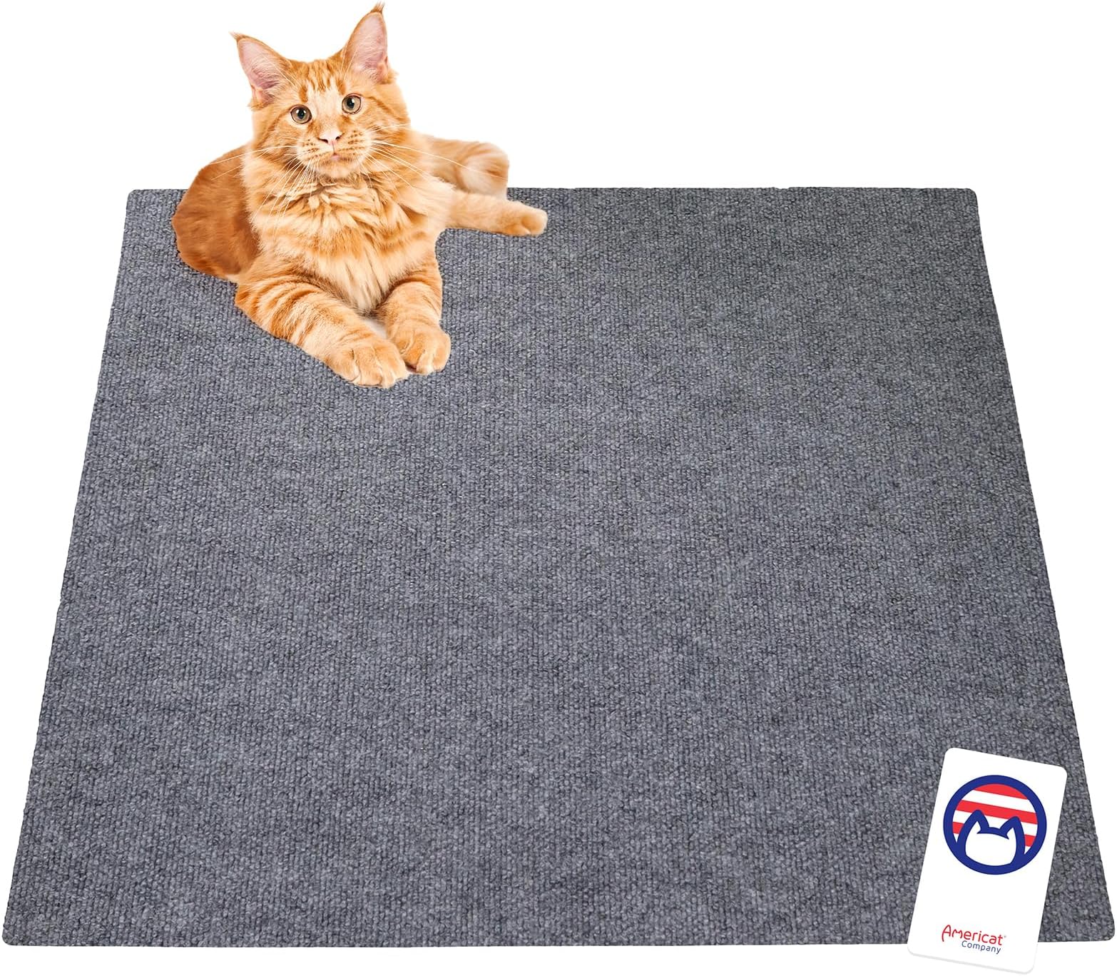 Amazon.com: Cat Litter Mat by Americat – 36 x 28 Inches Machine ...