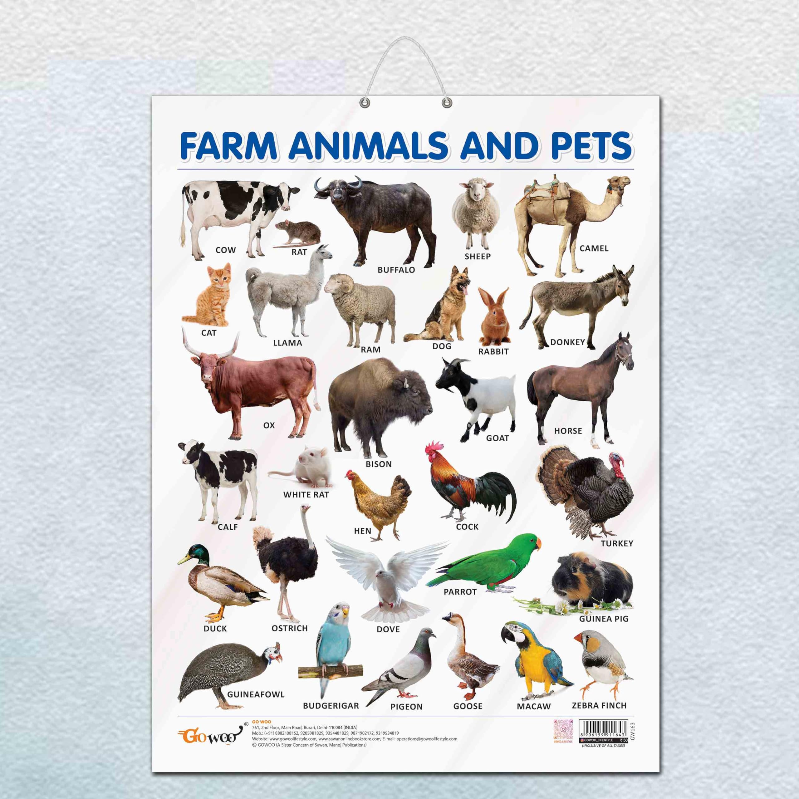 Buy FARM ANIMALS AND PETS CHART GLOSS LAMINATED |Pet Pals and Barn ...
