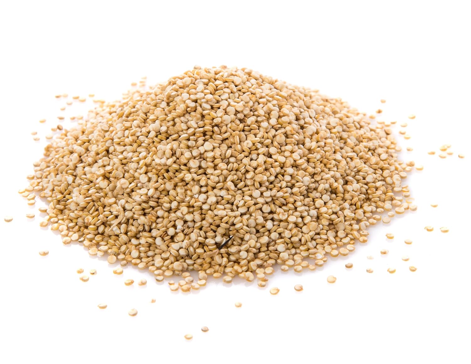 Original Hybrid Bajra Seeds Pearl Millet for Fodder Bird Grains Soil ...