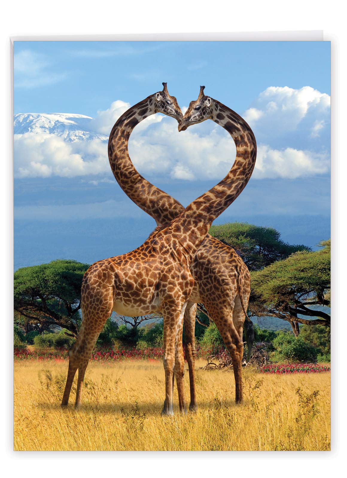 Giraffes Making Hearts