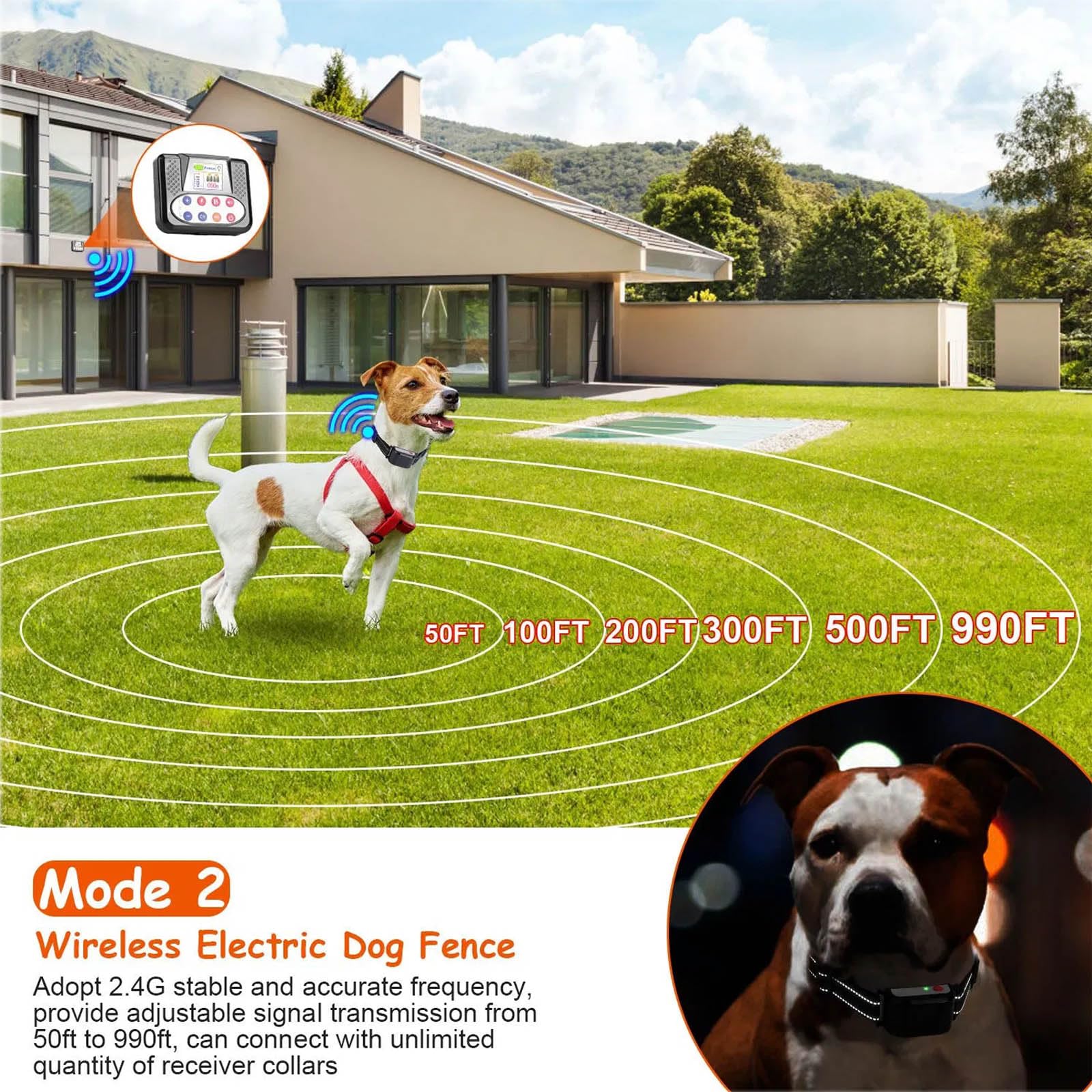 Doge For Invisible Fence PetCare Hidden Fence Company