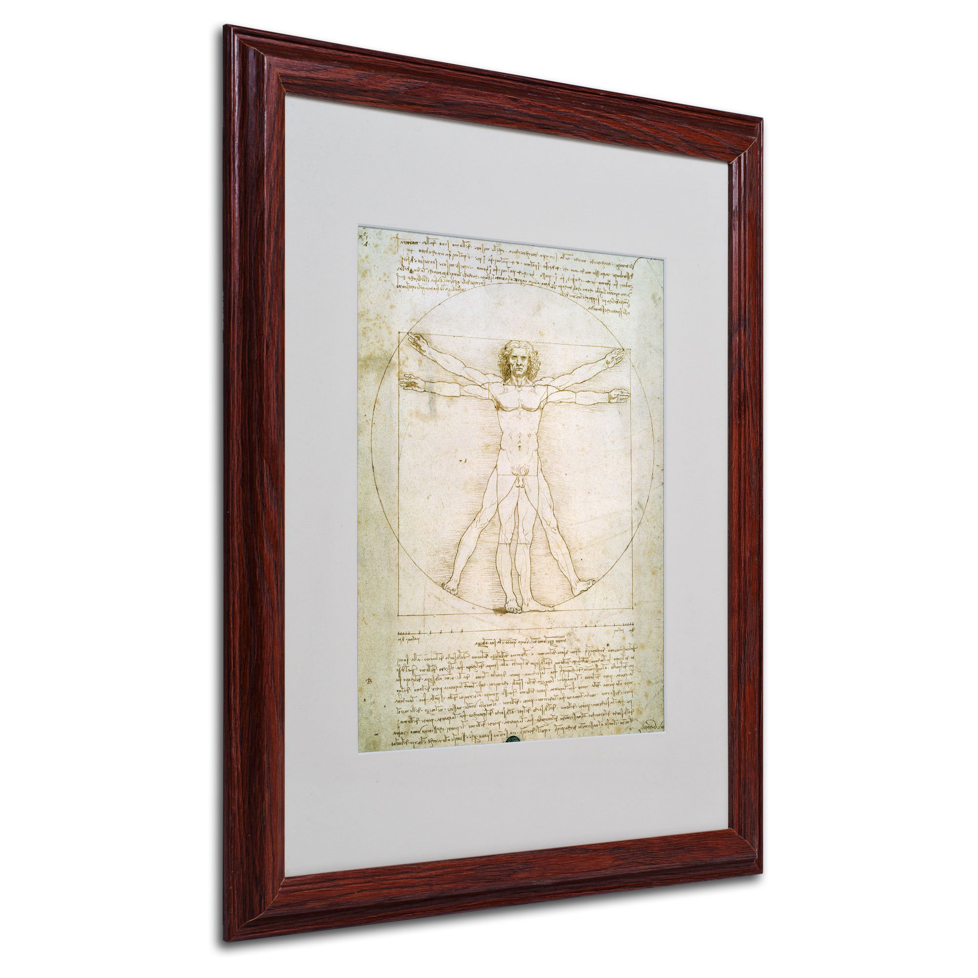 Buy The Proportions of The Human Figure Artwork by Leonardo da Vinci in ...