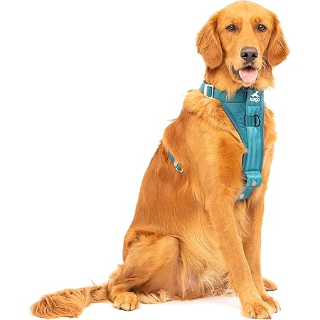 Amazon.com: Kurgo Tru-Fit Enhanced Strength Dog Harness - Crash Tested ...