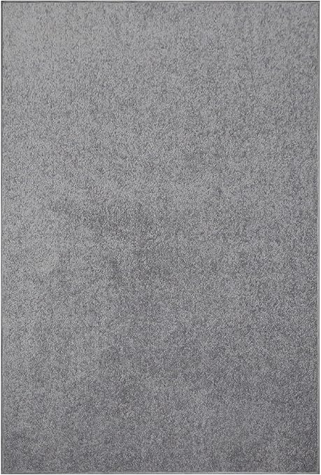 Amazon.com: Ambiant Pet Friendly Solid Color Area Rugs Grey - 2' x 3 ...