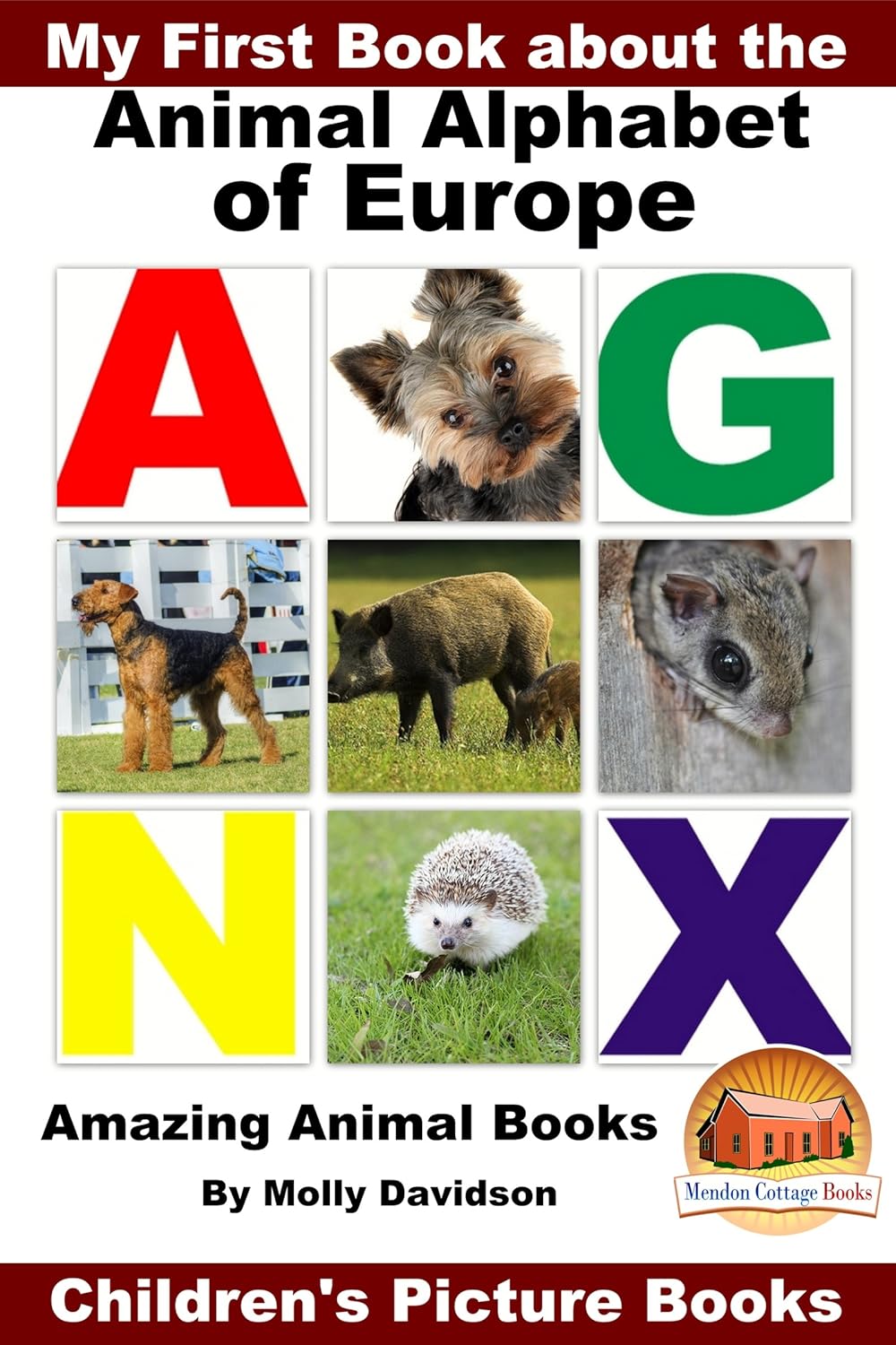 Amazon.com: My First Book about the Animal Alphabet of Europe - Amazing ...