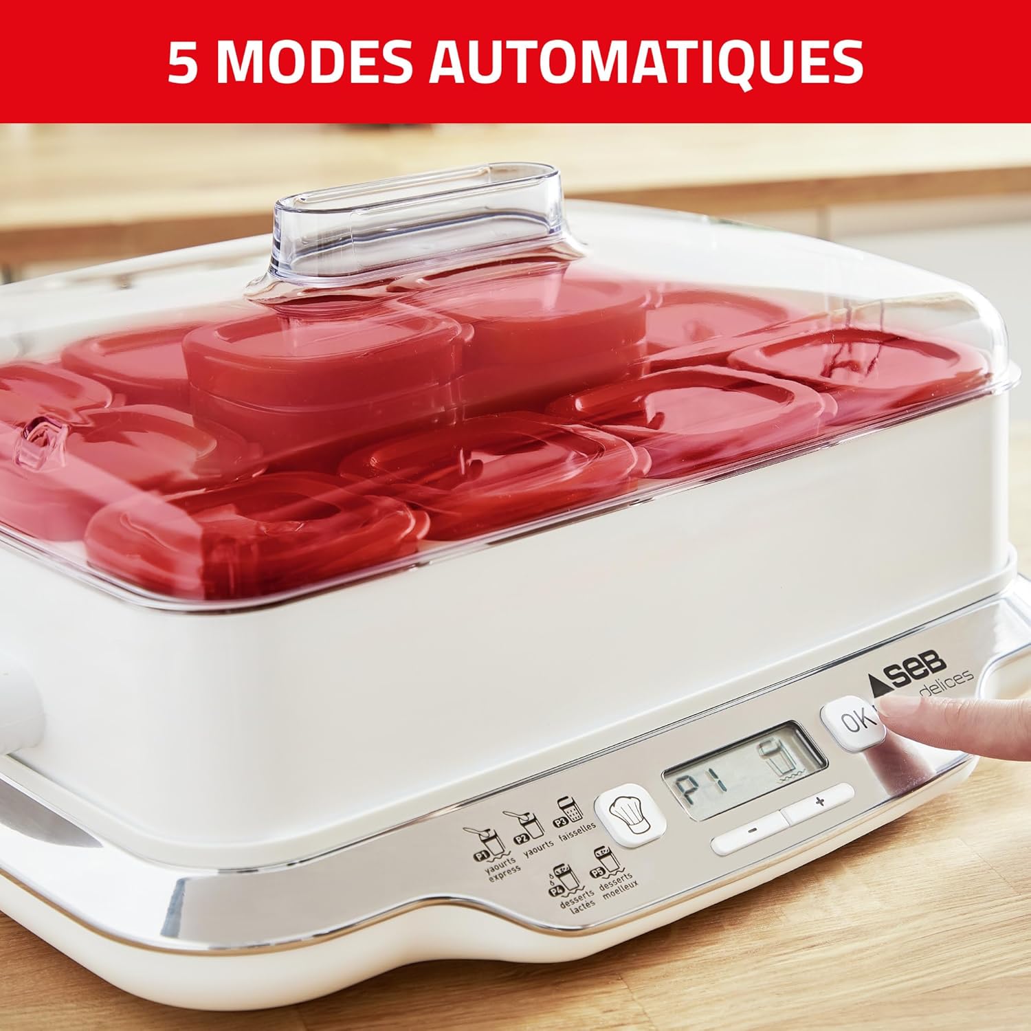 SEB Multi Délices Express YG661500 Yogurt Maker Instruction Manual