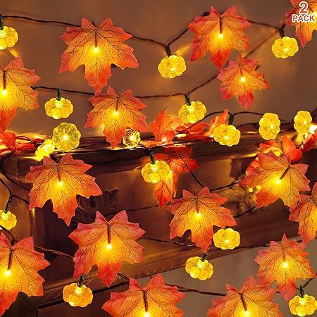 Amazon.com: TURNMEON 2 Pack 3D Fall Pumpkin Lights Fall Garland Decor ...