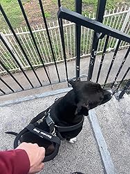 Amazon.com : ActiveDogs Bridge Handle for Service Dog Vest & Harnesses ...