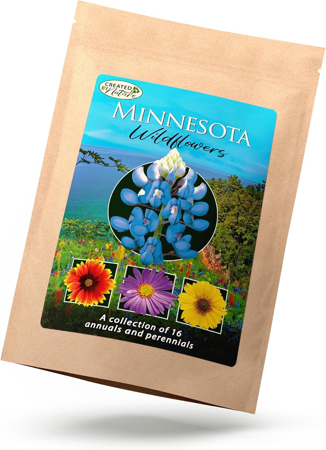 Amazon.com : Created By Nature Minnesota Wildflower Seed Mix, 16 Flower ...